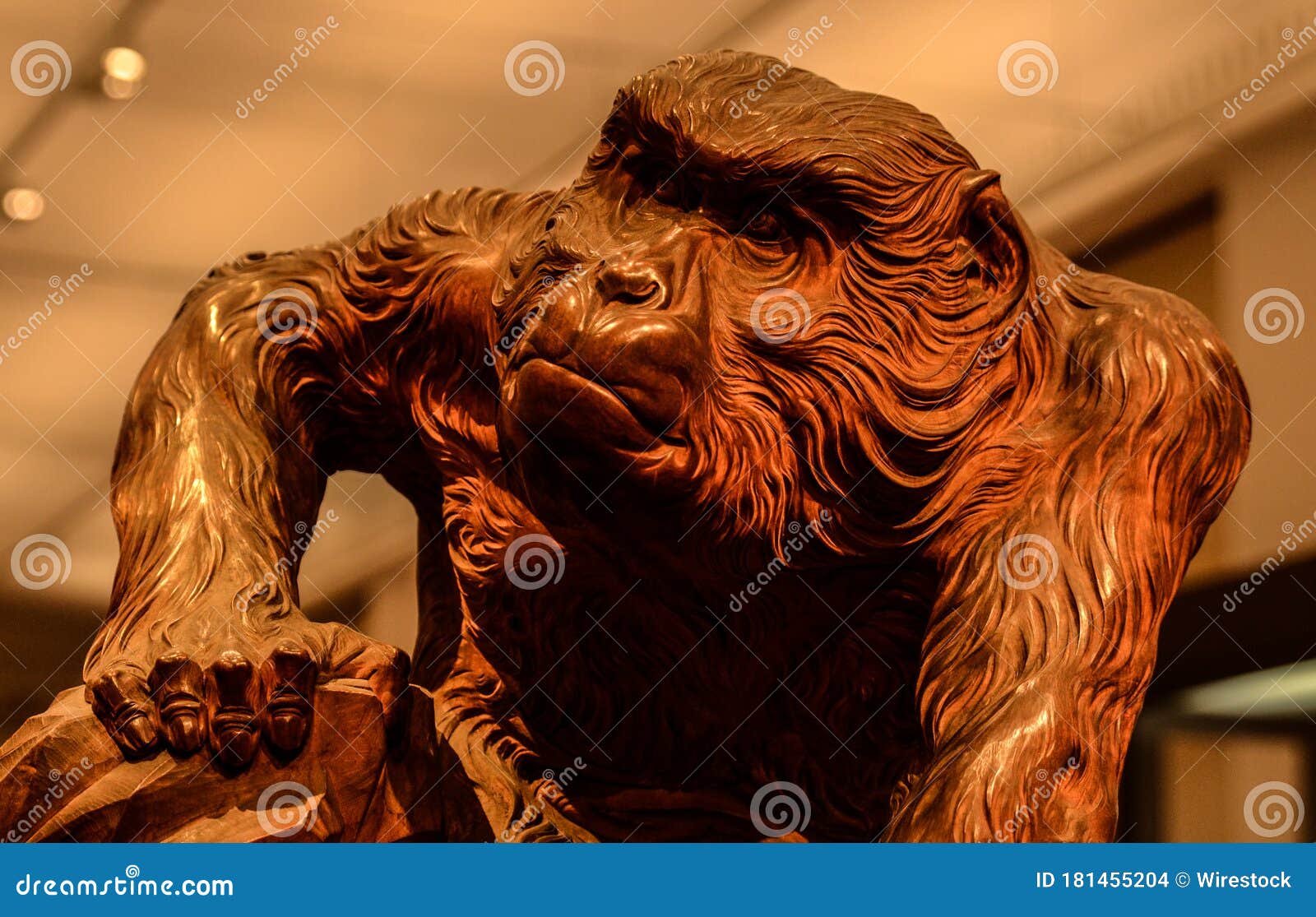 Closeup Shot of a Detailed Ape Statue Stock Photo - Image of monkey ...