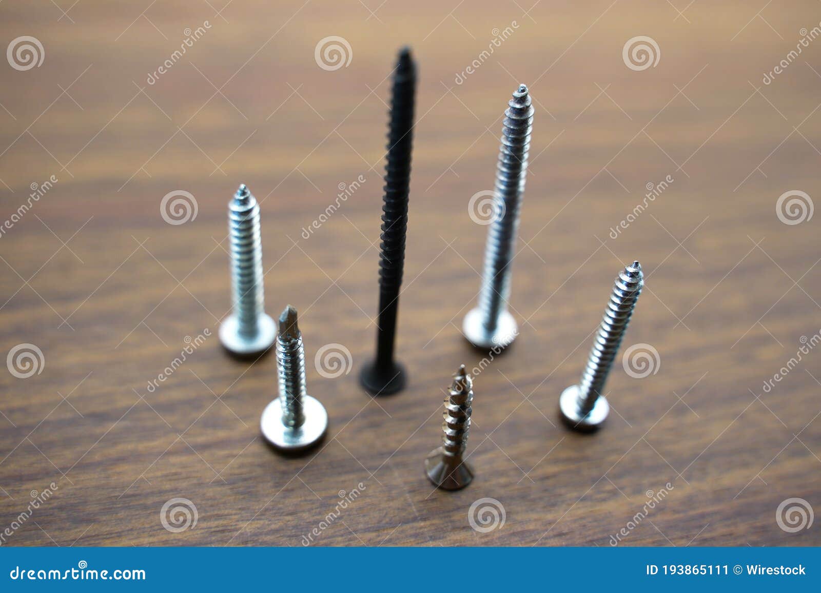 Closeup Shot of Different Types of Screws Stock Image - Image of detail ...