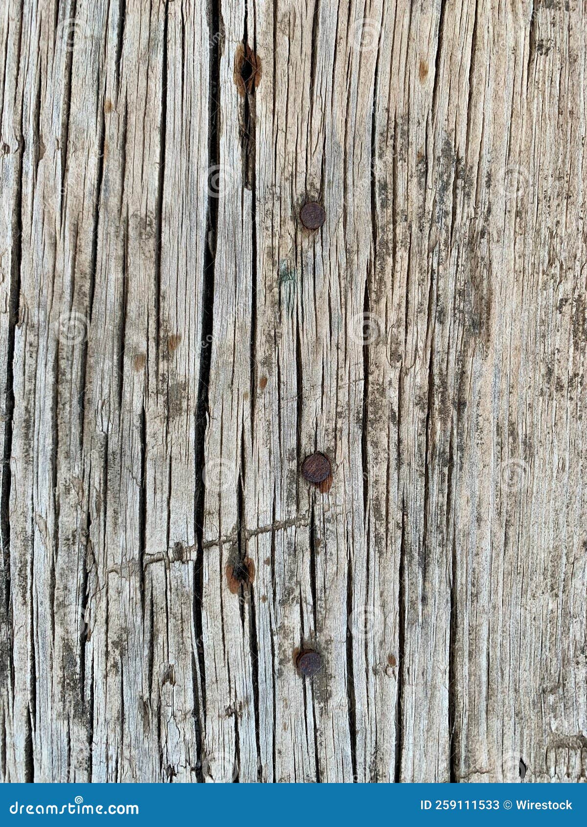 Closeup Shot of the Dry Wood Texture Stock Image - Image of rustic ...