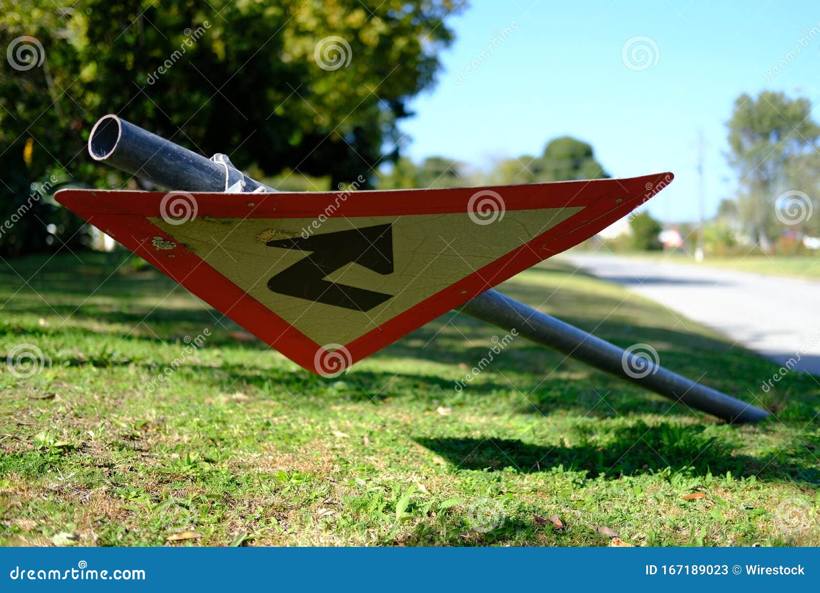Closeup Shot of a Fallen Triangular Road Sign on the Green Grass on the ...