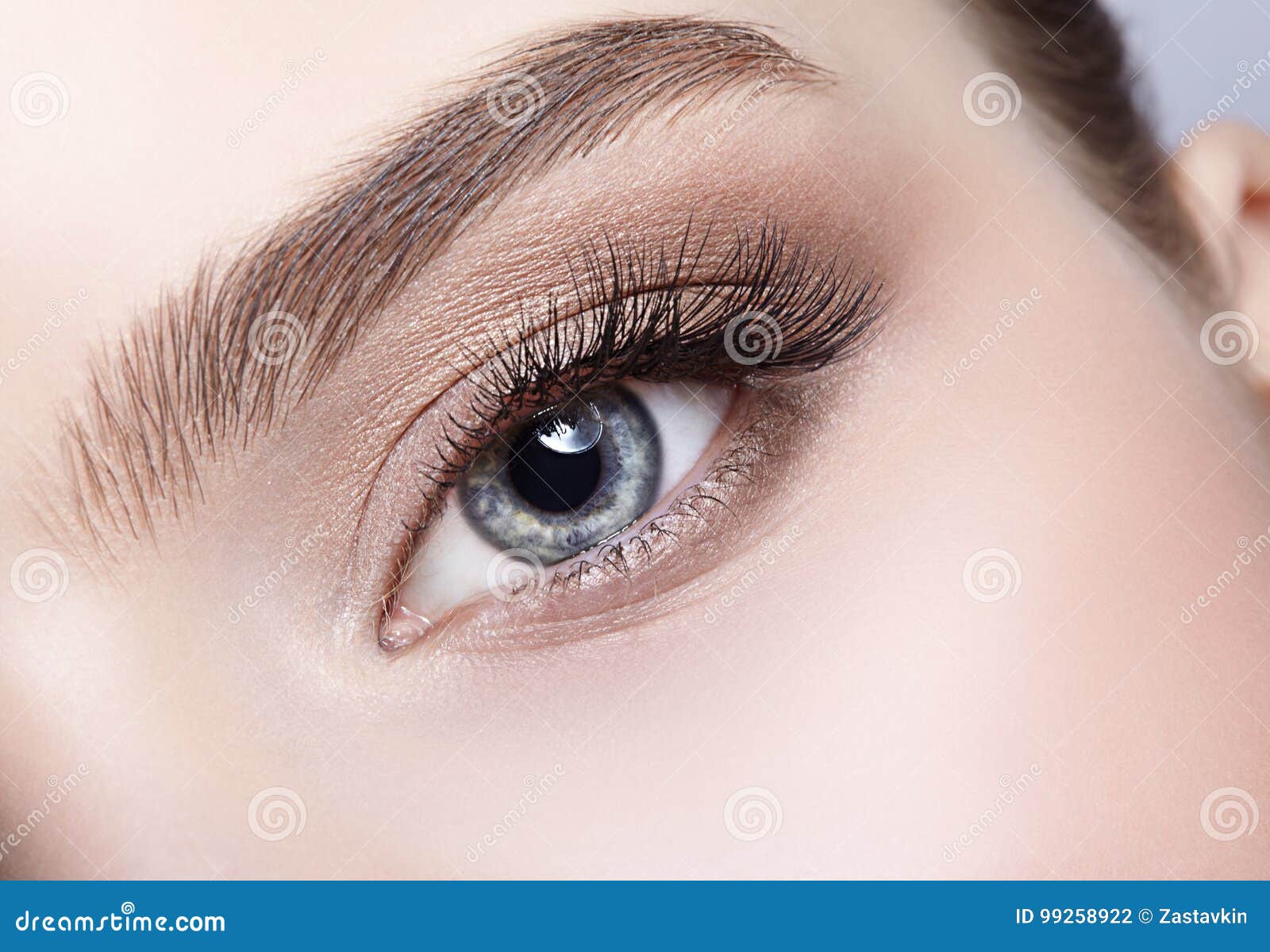 Female Eye Zone and Brows with Day Makeup Stock Photo - Image of beauty ...
