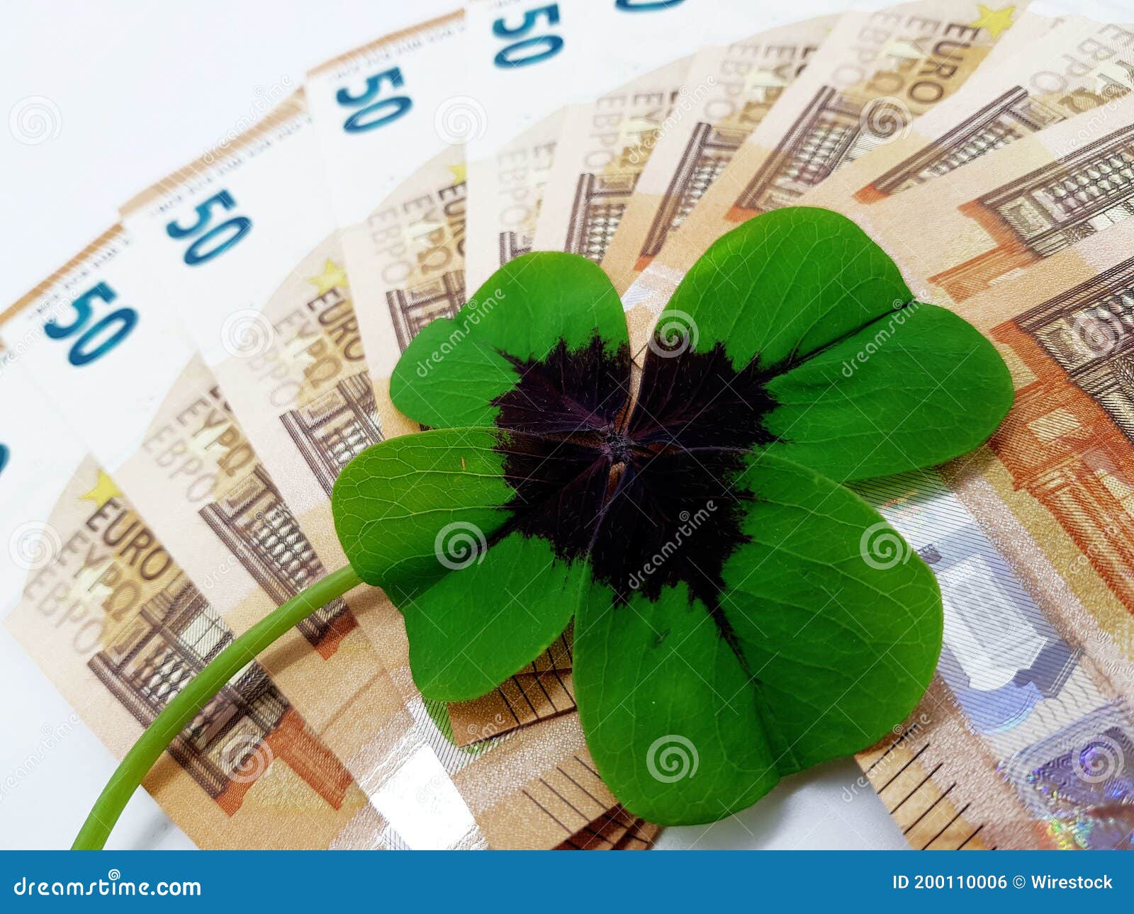 Closeup Shot of Four-leaf Clover with Euro Notes Stock Photo - Image of ...