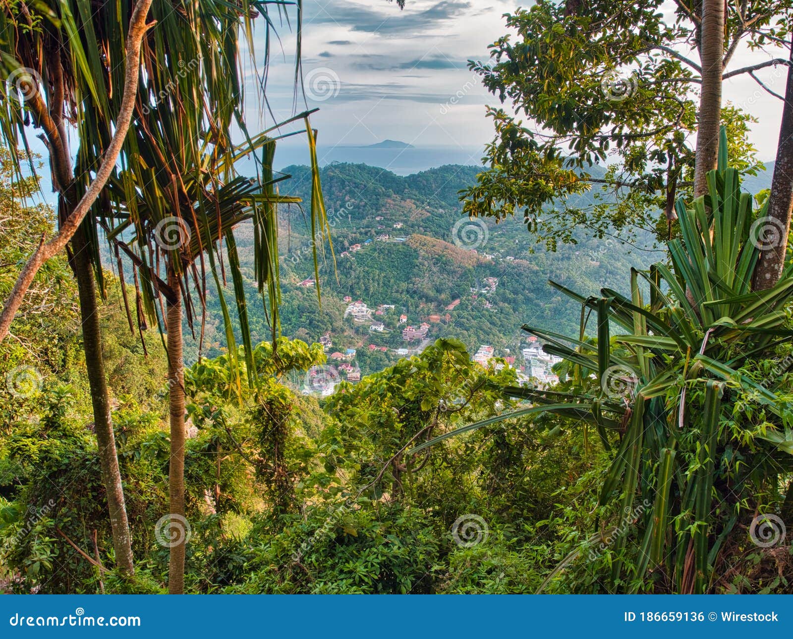 Closeup Shot of Green Trees on the Top of the Hill Stock Photo - Image ...