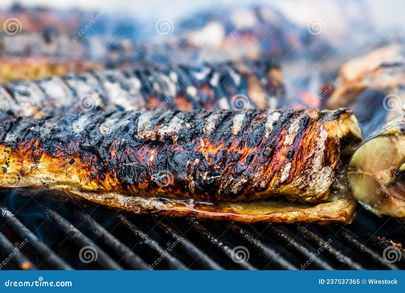 Closeup Shot of Grilled Fish on a Charcoal Grill Stock Image - Image of ...