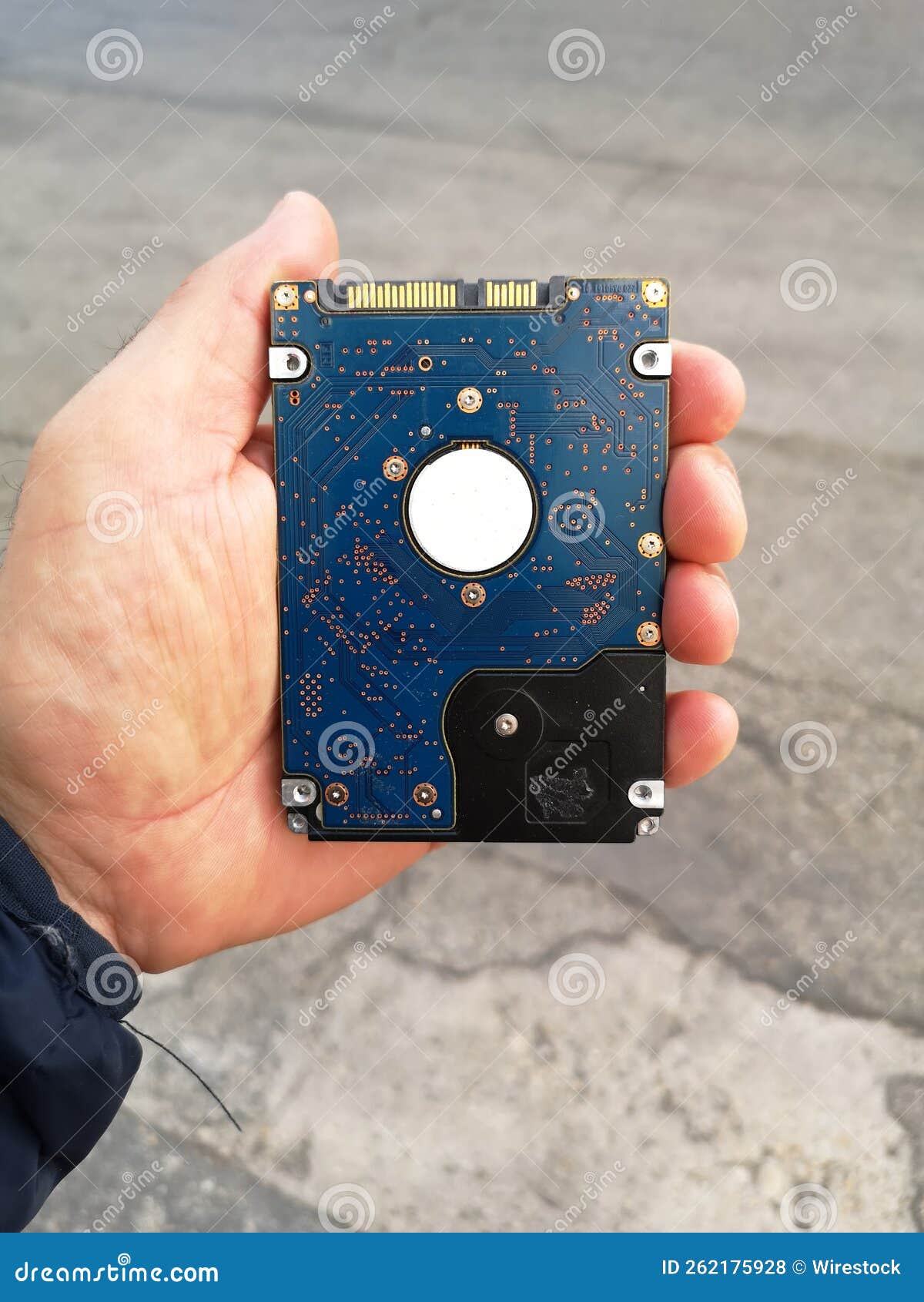 Closeup Shot of Hard Disk on Hand Stock Photo - Image of disc, object ...