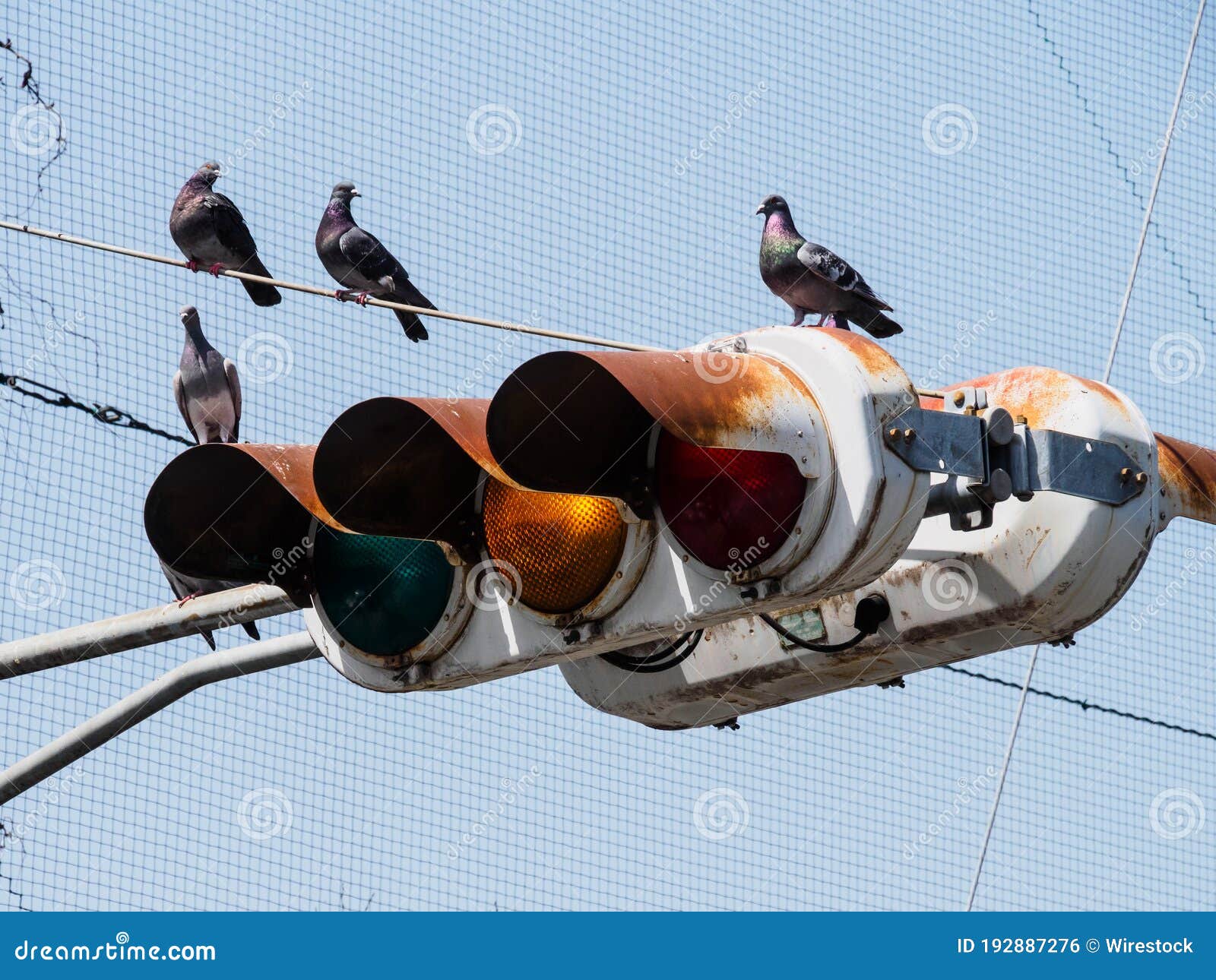 Closeup Shot of a Horizontal Rusty Traffic Light Next To Cables with ...