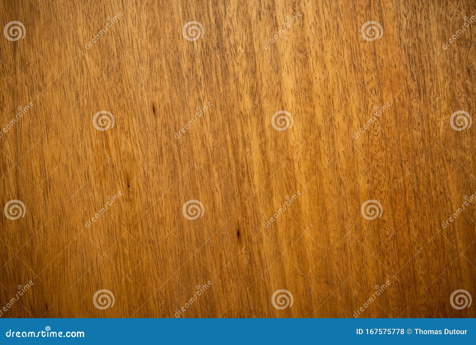 Mango Wood Texture Stock Photos - Download 1,356 Royalty Free Photos