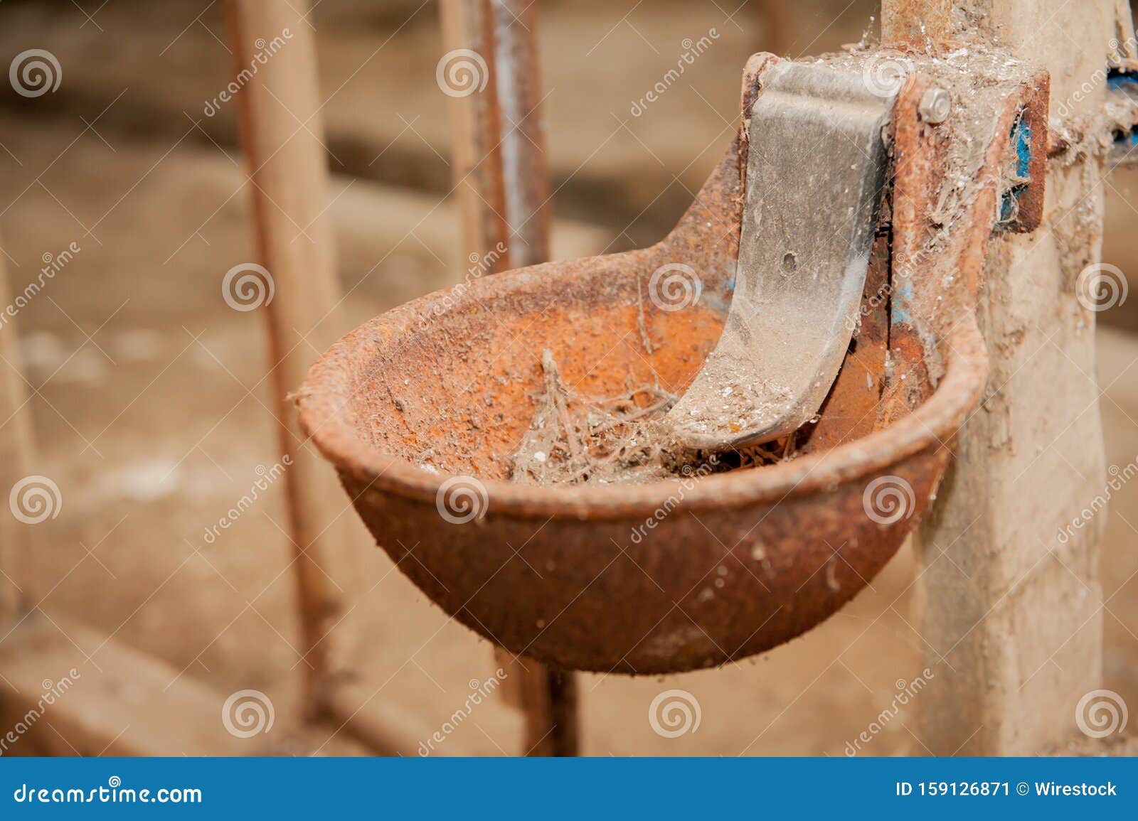 Closeup Shot of an Old Rusty Animal Feeder in a Barn Stock Image ...