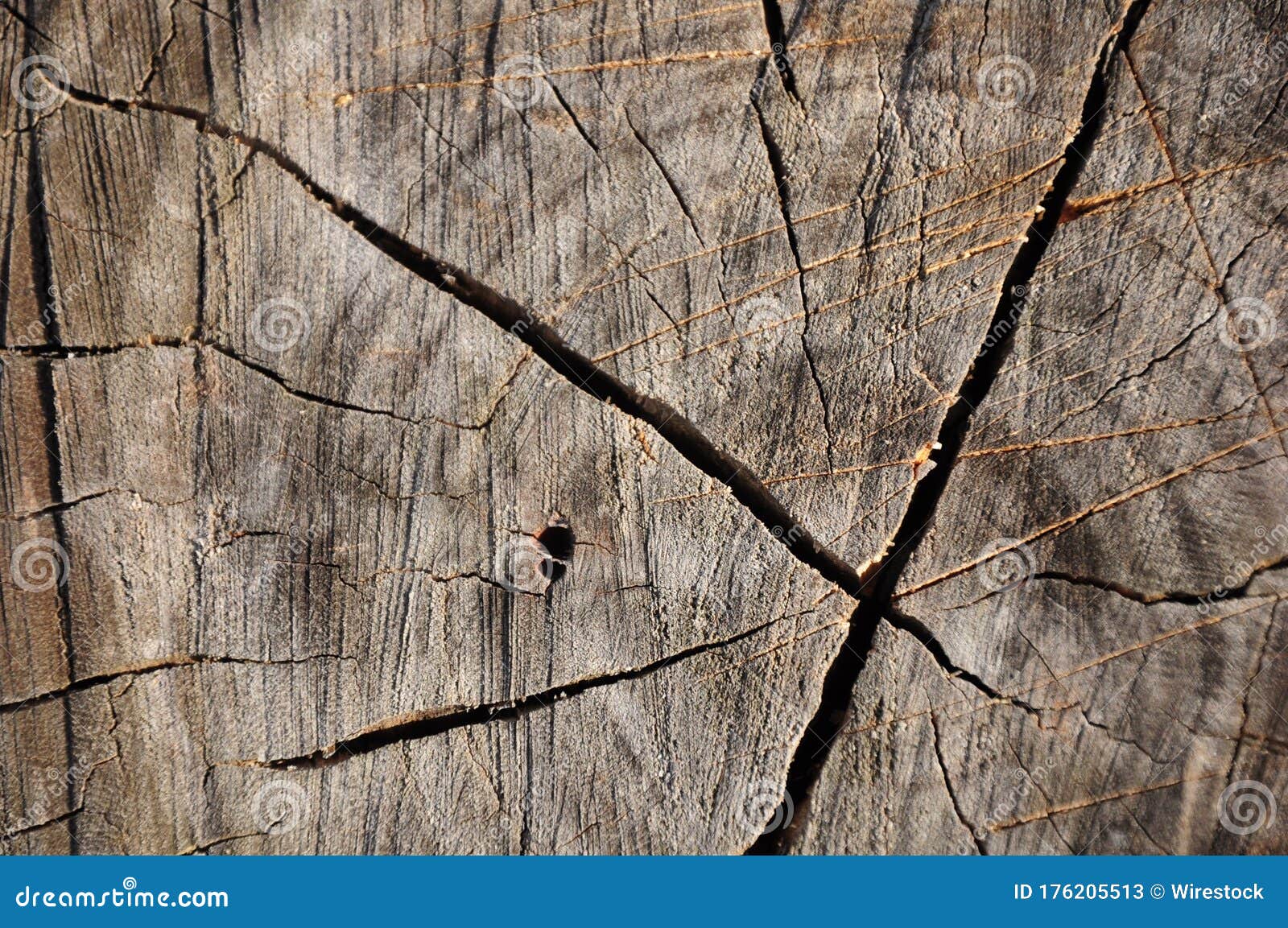 Closeup Shot of an Old Wood Stock Image - Image of natural, closeup ...