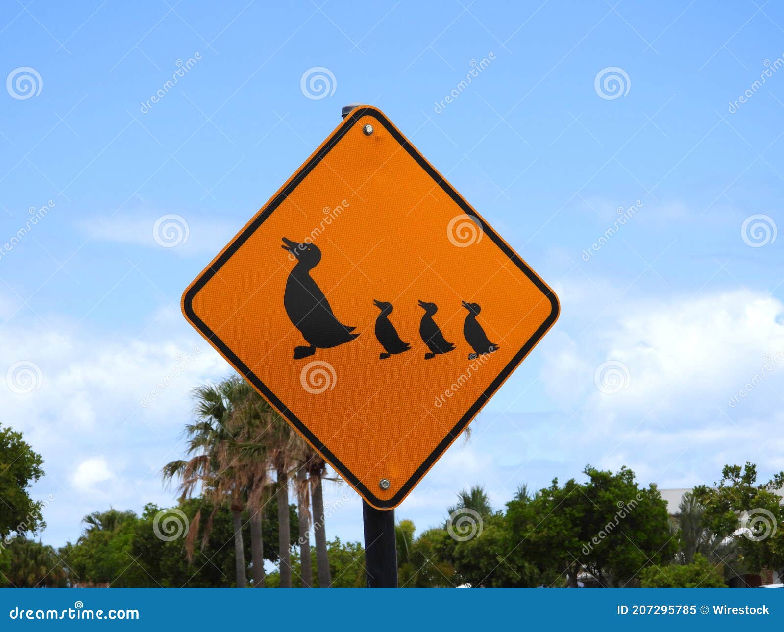 Closeup Shot of an Orange Sign with Ducks on it - Caution Sig Stock ...