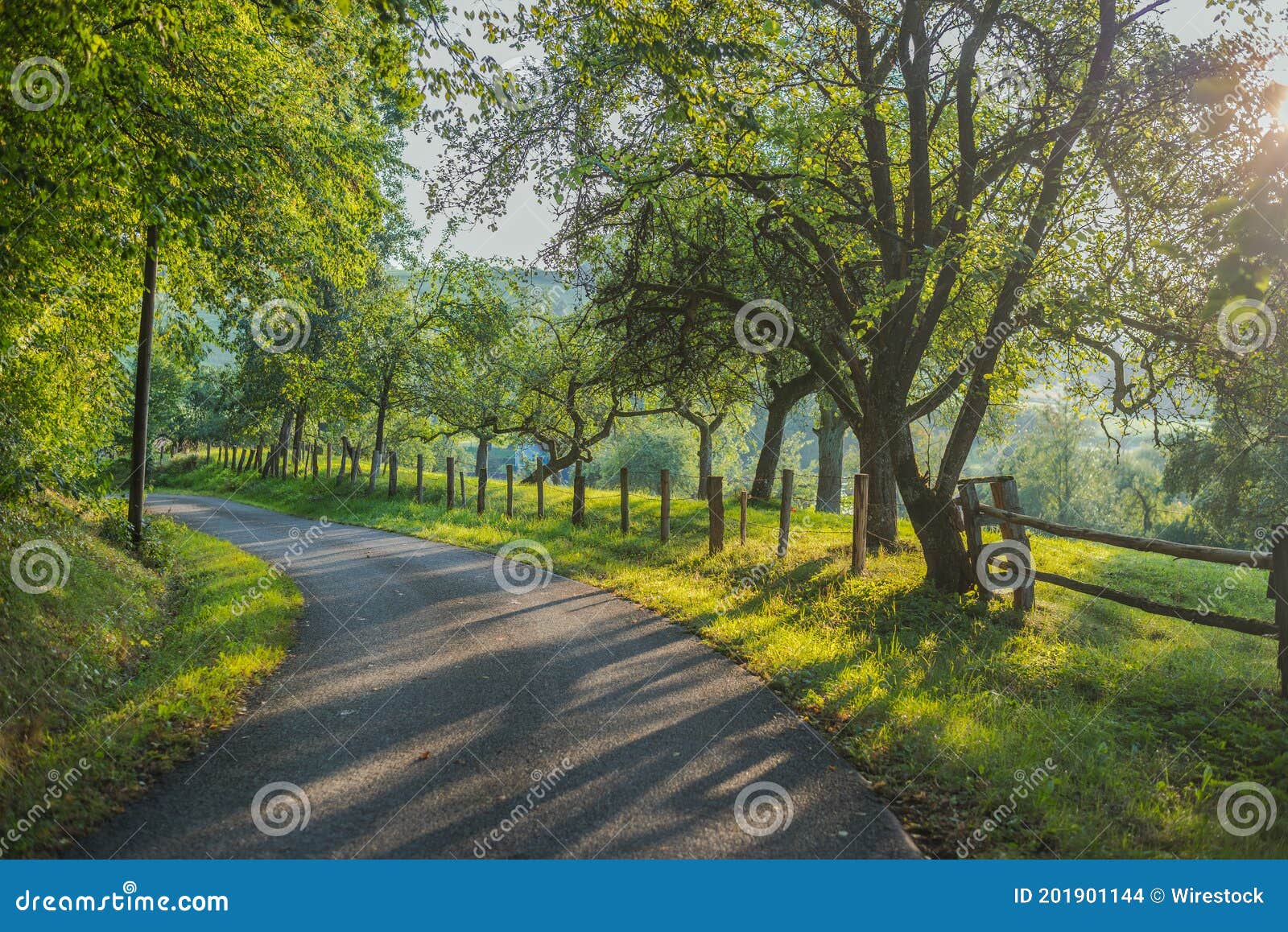 Closeup Shot of a Path in a Field with Trees Stock Photo - Image of ...