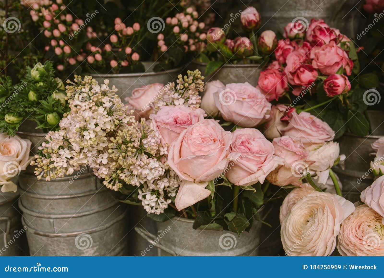 Closeup Shot of Pink Roses in the Buckets Stock Image - Image of color ...