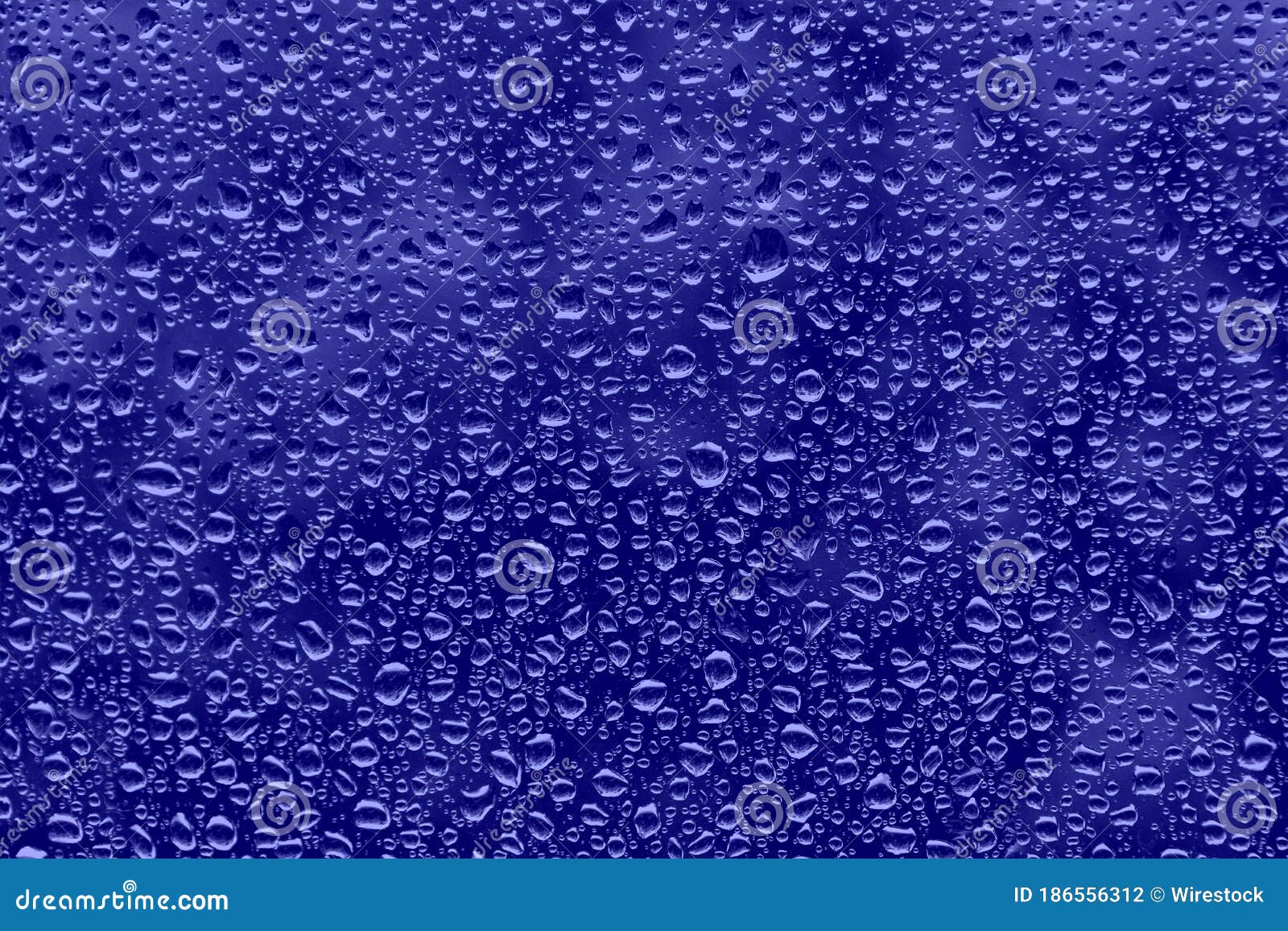 Closeup Shot of Raindrops Isolated on a Light Purple Background - Great ...