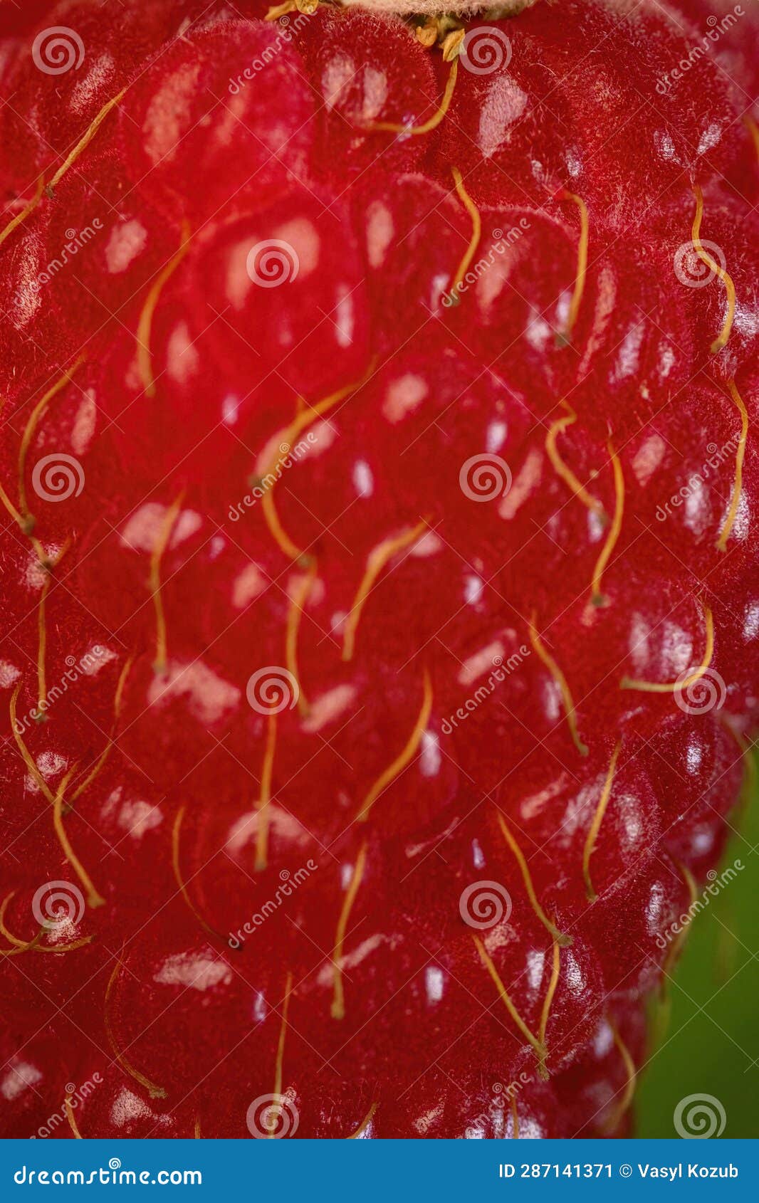 Closeup Shot of Raspberry Texture Stock Image - Image of closeup ...