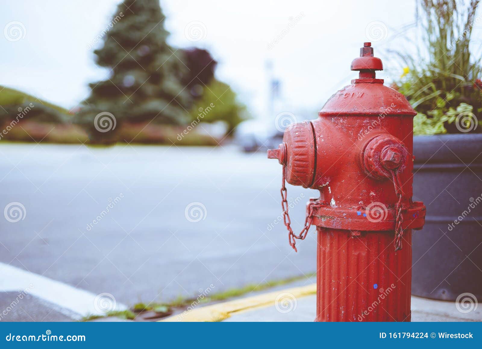 Closeup Shot of a Red Fire Hydrant with a Blurred Background Stock ...
