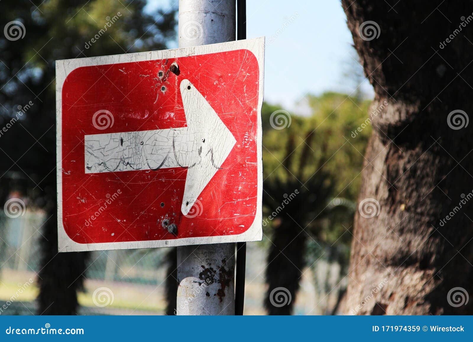 Closeup Shot of a Red Sign Pointing To the Right in Front of the Trees ...