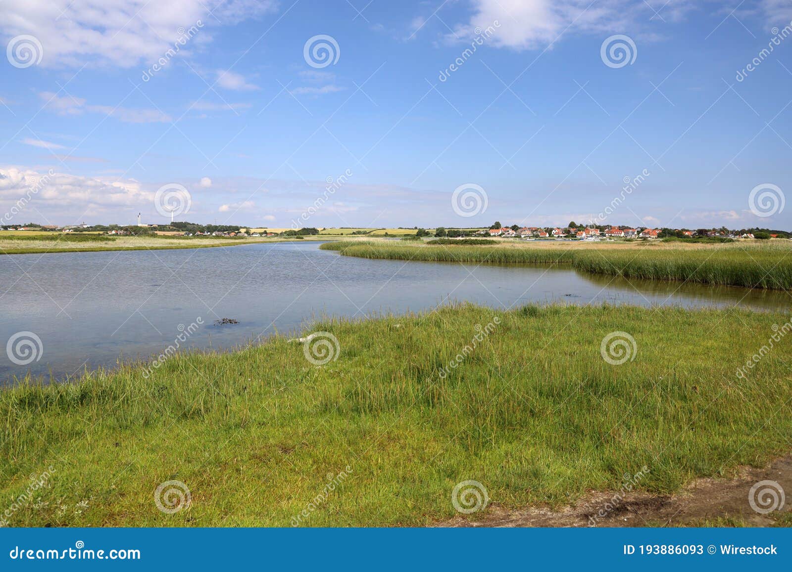 Closeup Shot of a River and Grassland Stock Image - Image of ...