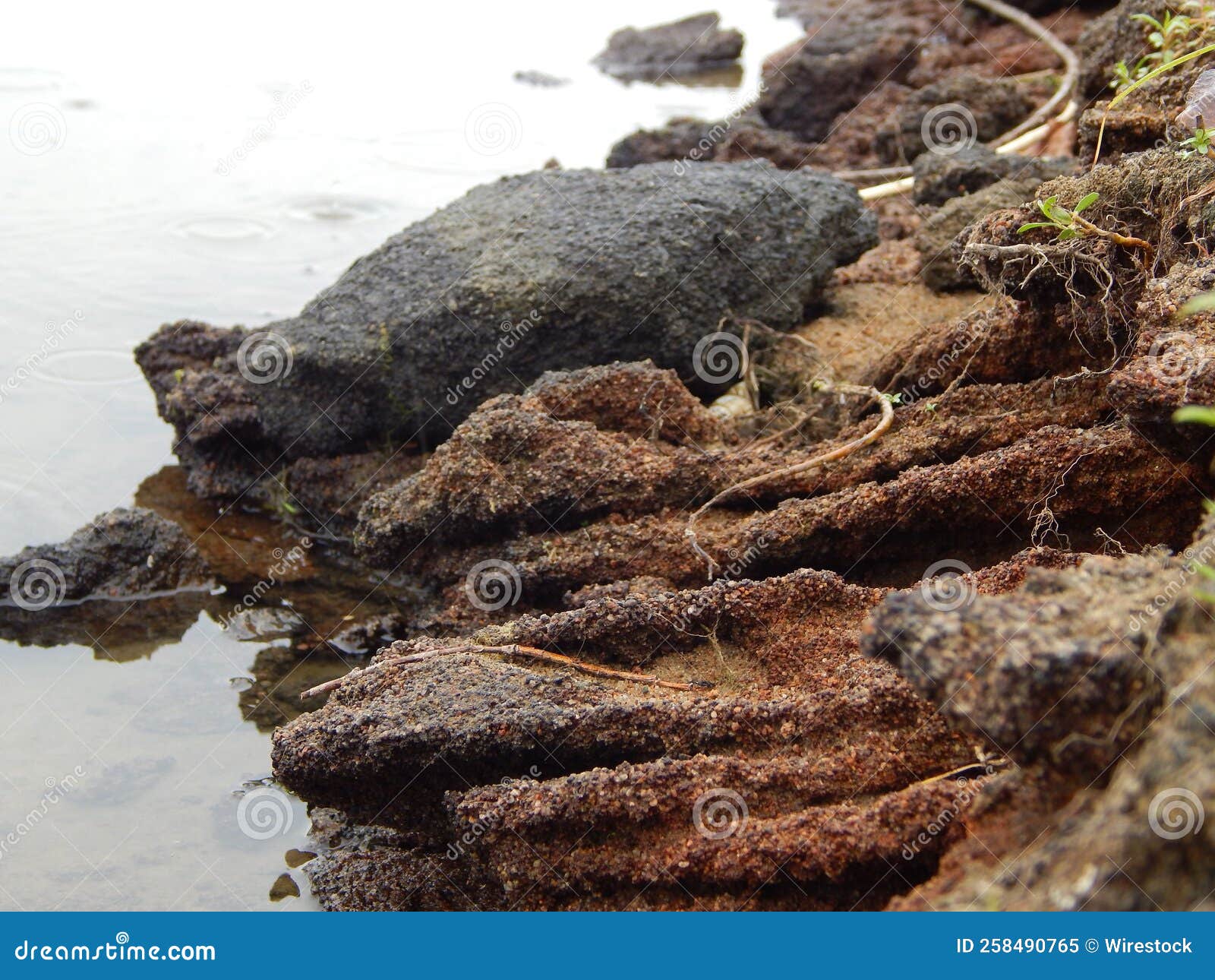 Closeup Shot of the Rocks on the Beach Stock Image - Image of coast ...
