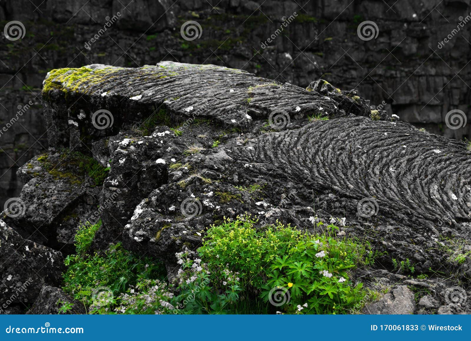 Closeup Shot of a Rocky Cliff Covered with Moss on a Blurred Background ...