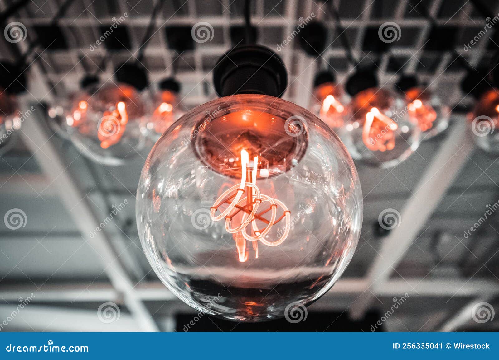 Closeup Shot of Round Light Bulbs Hung on the Ceiling Stock Image ...