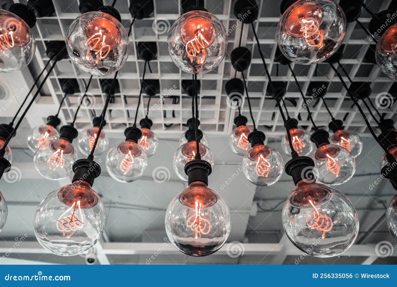 Closeup Shot of Round Light Bulbs Hung on the Ceiling Stock Photo ...