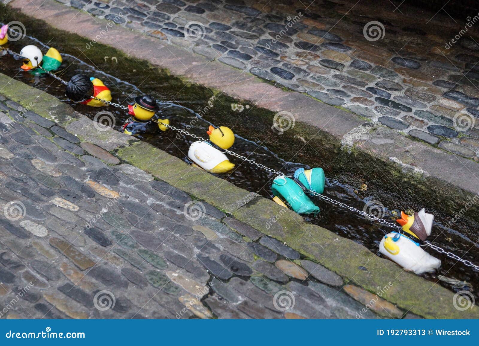 Closeup Shot of Rubber Ducks Linked with a Chain in a Water Stream ...