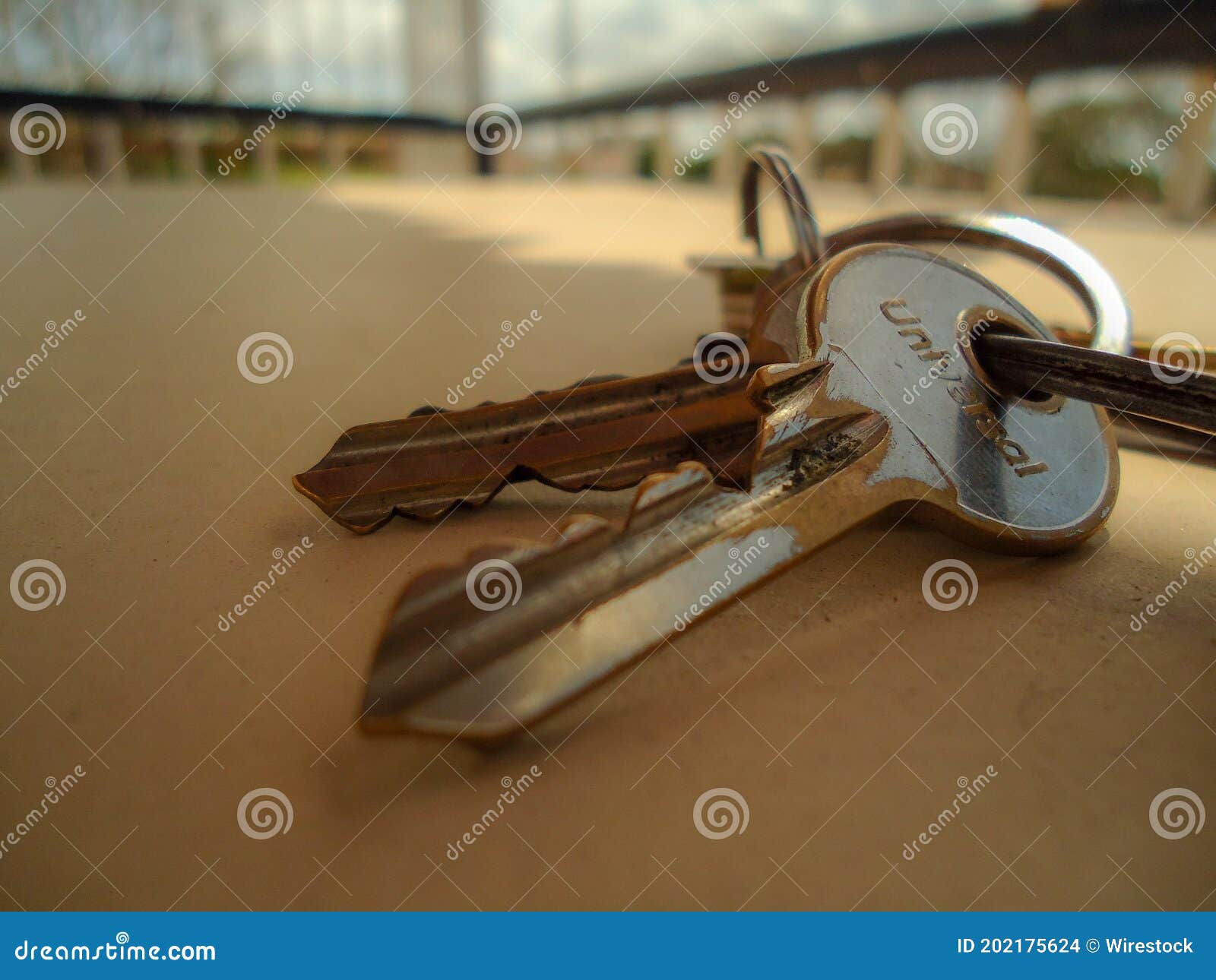 Closeup Shot of Rusty Keys Bunch on the Smooth Surface Stock Photo ...