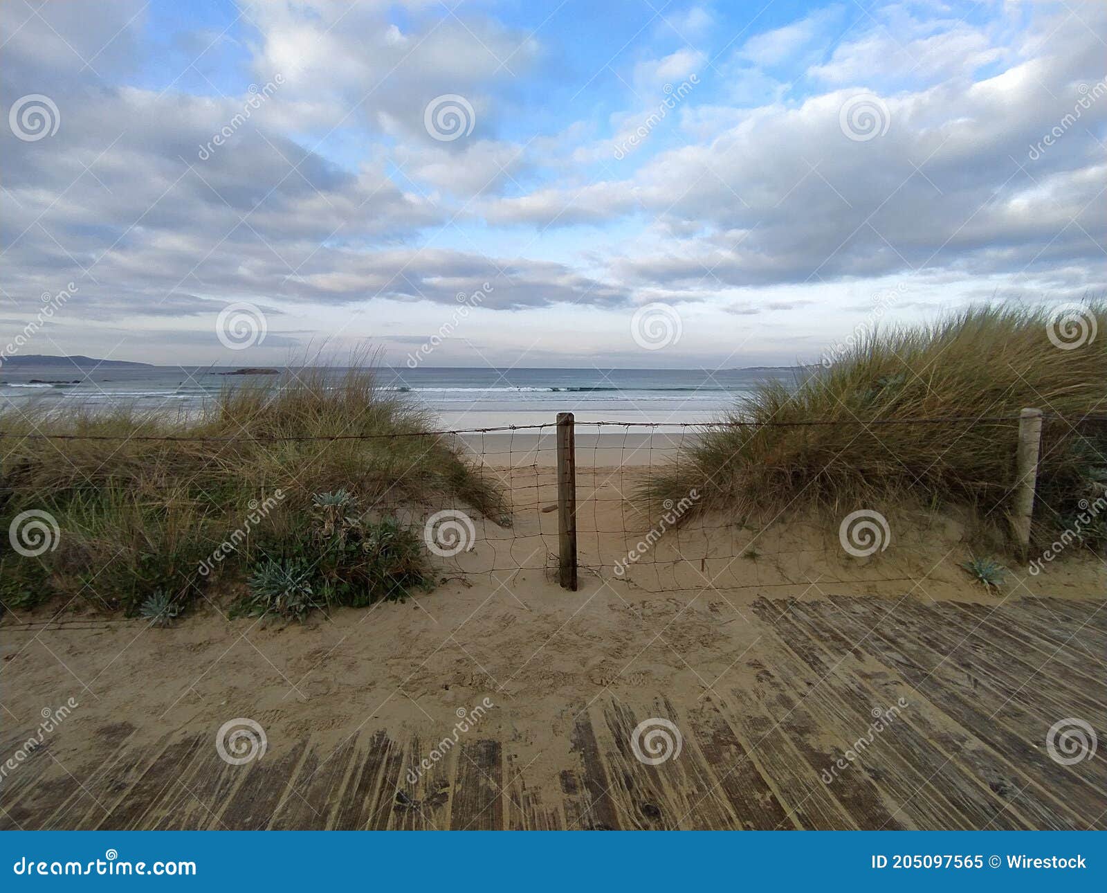 Closeup Shot of a Sandy Seashore Under Stock Image - Image of sand ...