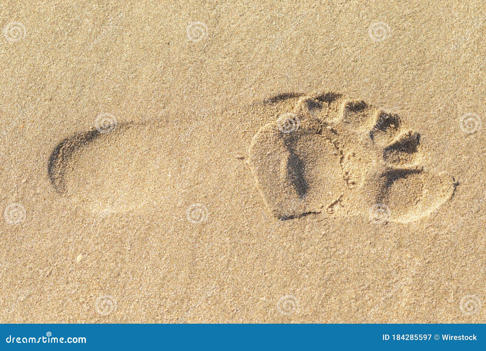 Closeup Shot of a Single Footprint on a Sandy Ground Stock Image ...