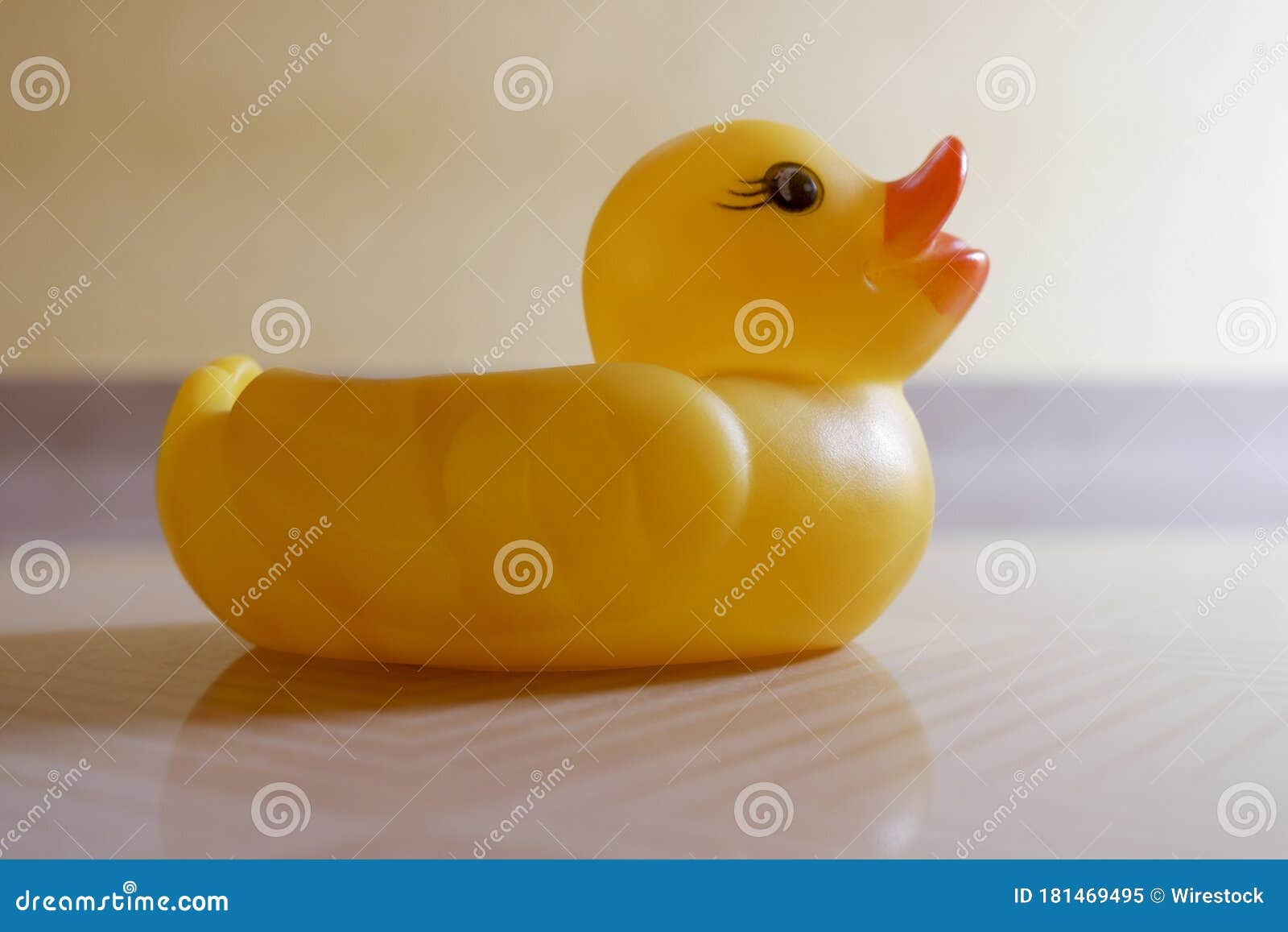 Closeup Shot of a Small Rubber Ducky Stock Image - Image of duck, baby ...
