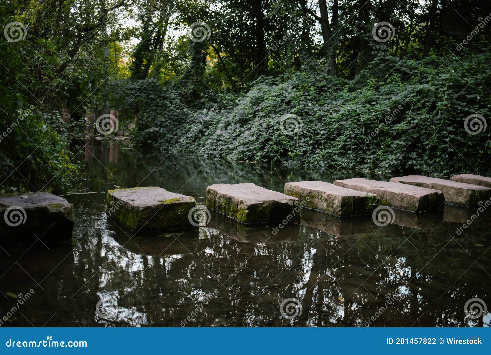 Closeup Shot of Stepping Stones on the Water Stock Photo - Image of ...