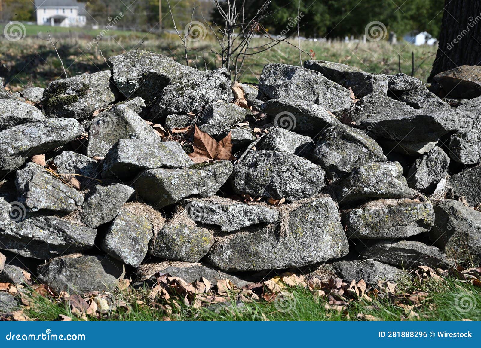 Closeup Shot of a Stone Wall Composed of a Pile of Gray Rocks Stock ...