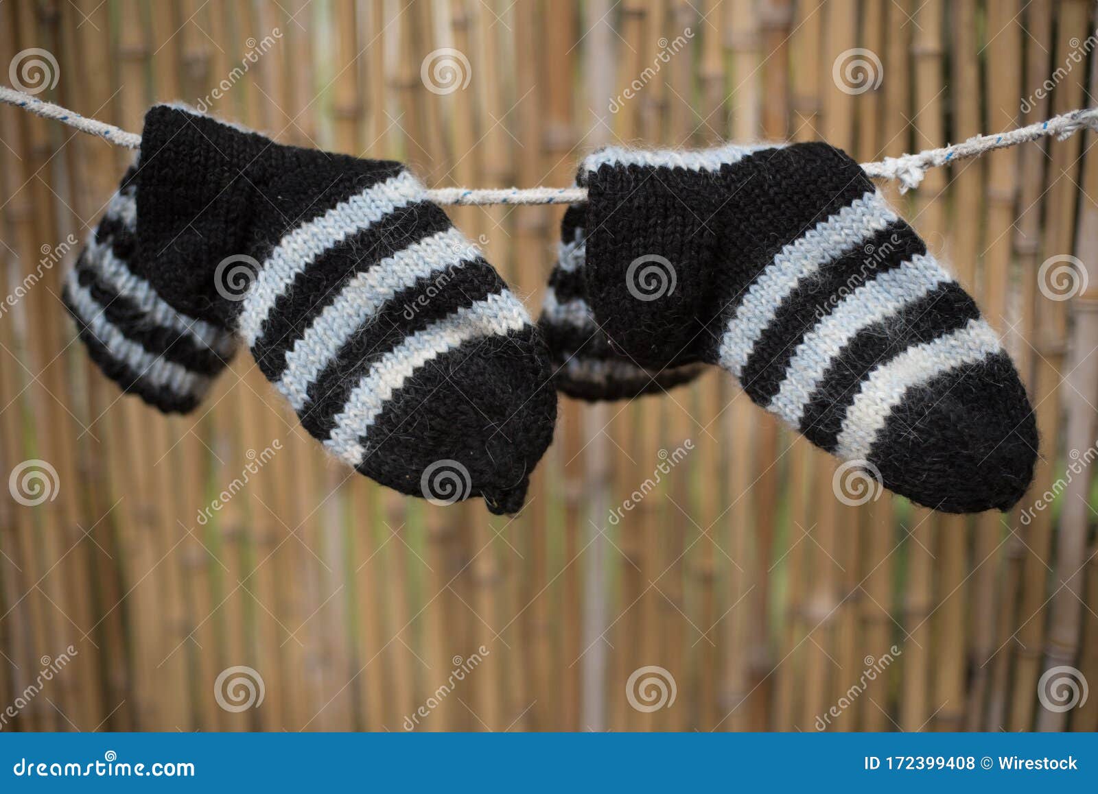 Closeup Shot of Striped Socks Hanged on the Rope Stock Photo - Image of ...