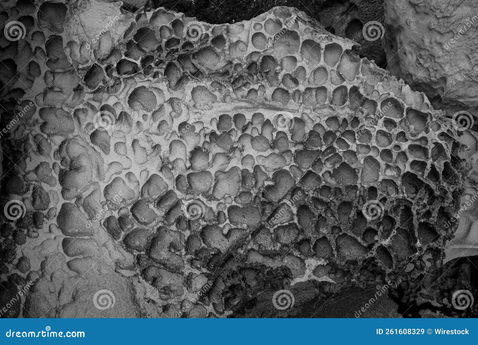 Taffoni Stock Photos - Free & Royalty-Free Stock Photos from Dreamstime