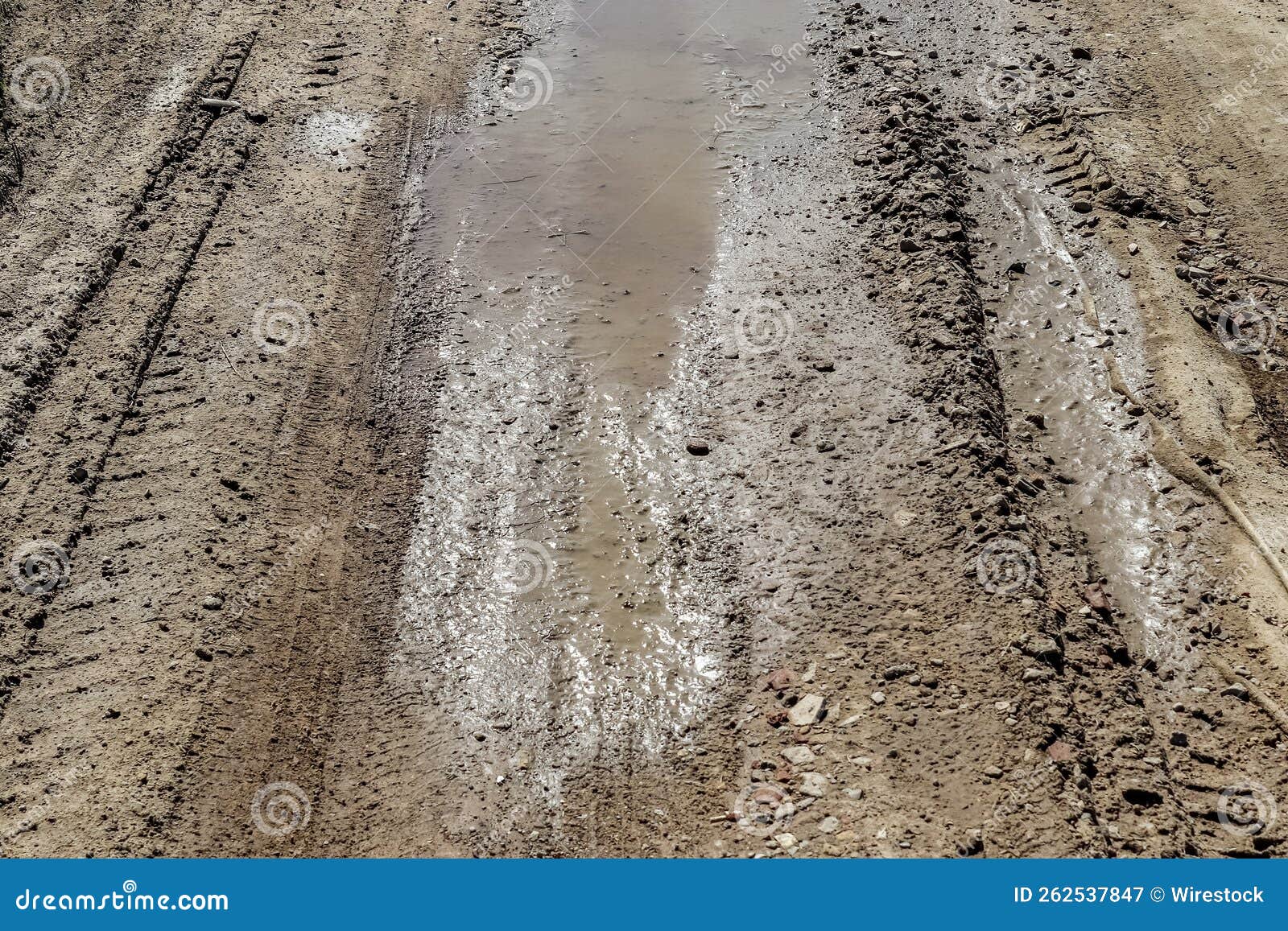 Closeup Shot of Tire Tracks on a Muddy Ground Stock Image - Image of ...