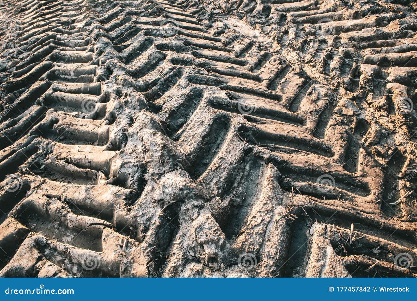 Closeup Shot of Tractor Tire Tracks on a Muddy Ground Stock Photo ...