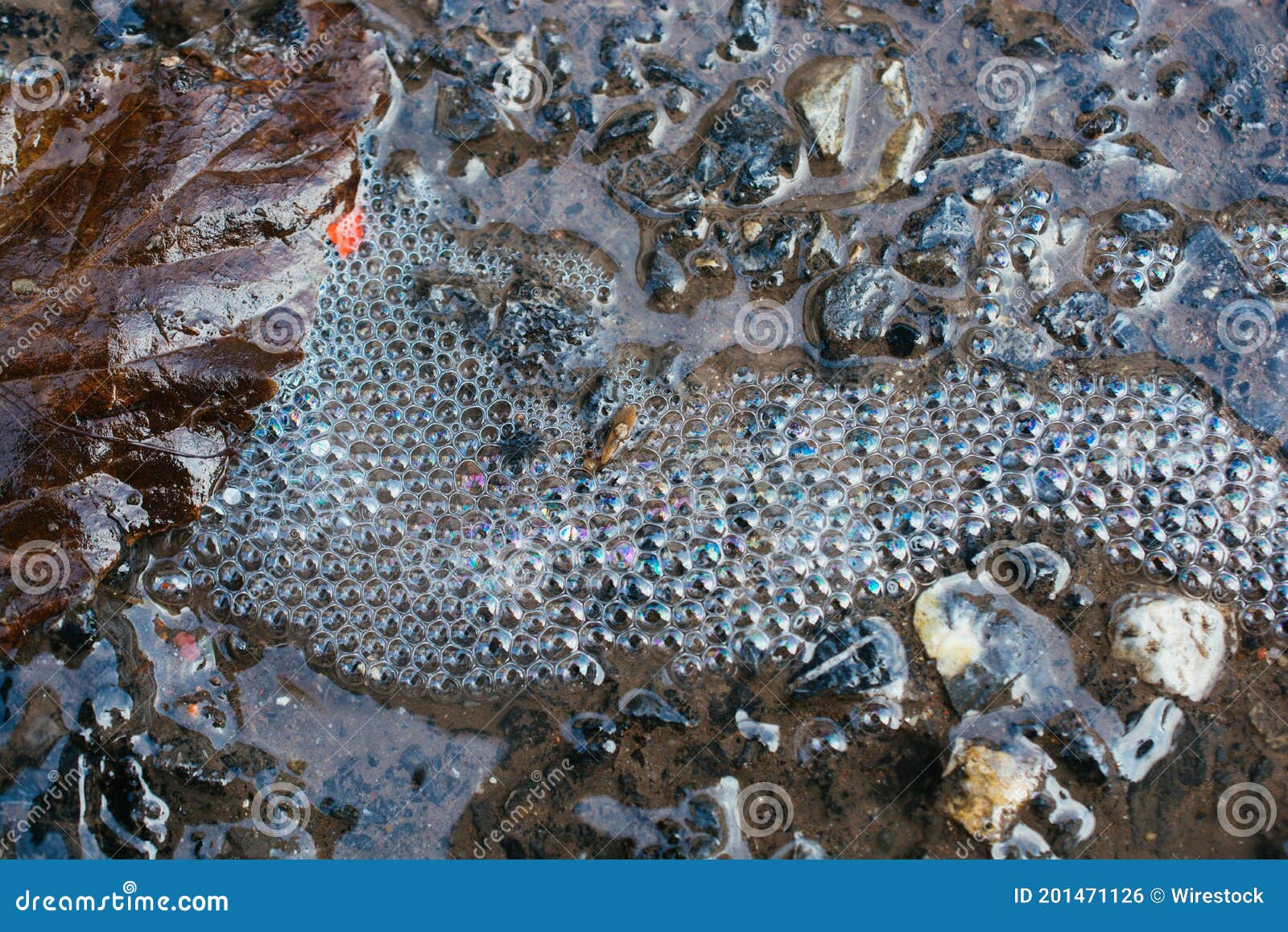 Closeup Shot of Water Bubbles in a Puddle Stock Photo - Image of drop ...