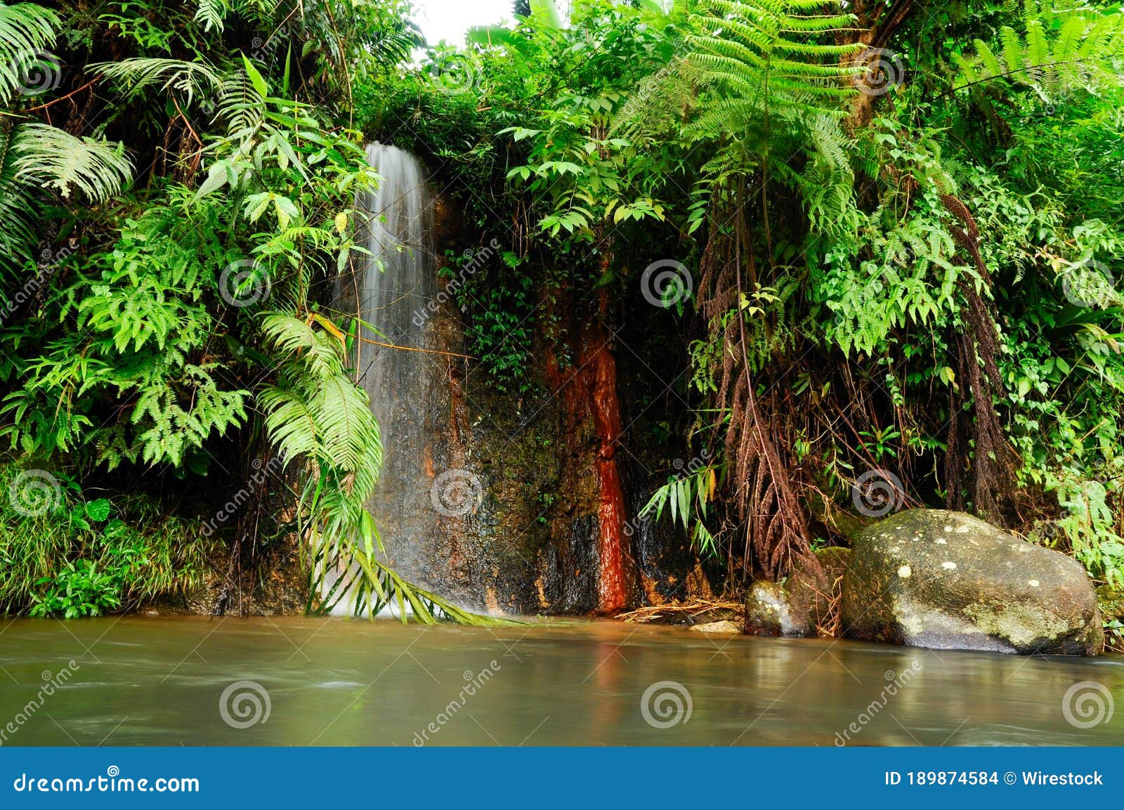 Closeup Shot of a Waterfall Flowing in a Jungle Near the Mount Gede ...