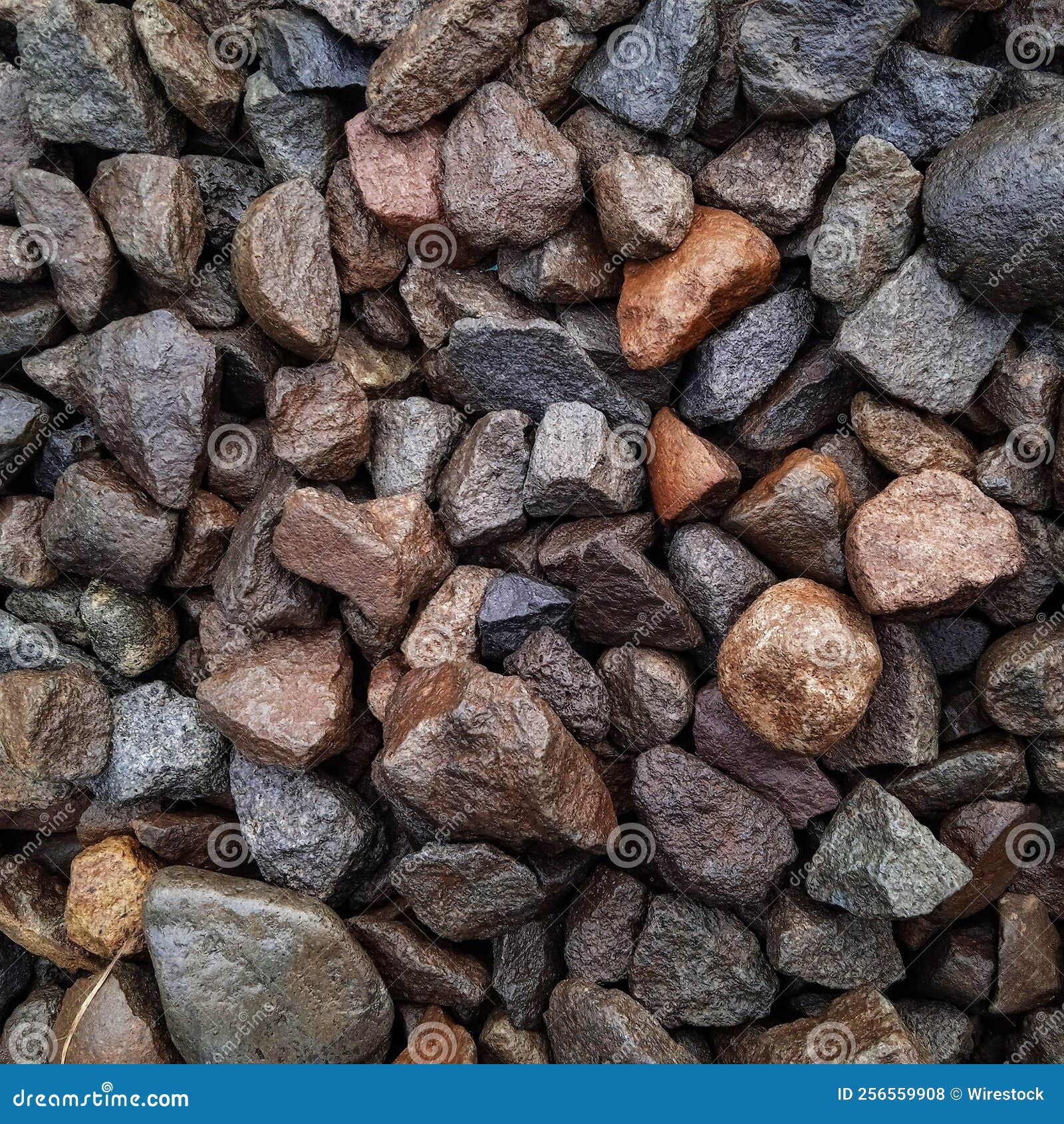 Closeup Shot of Wet Rocks Texture Stock Photo - Image of pattern, rocks ...