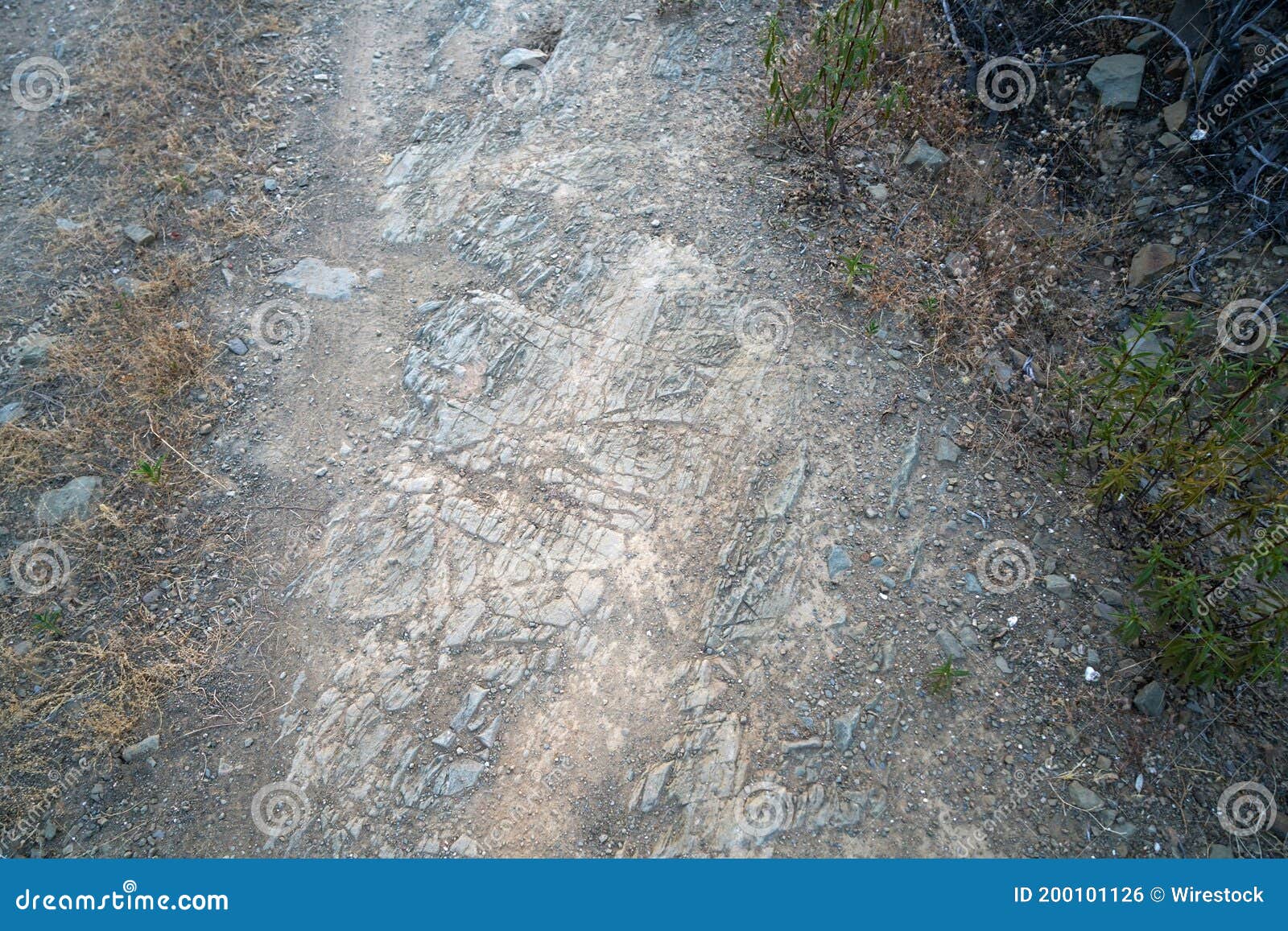 Closeup Shot of Wheel Track on the Ground Stock Photo - Image of stone ...