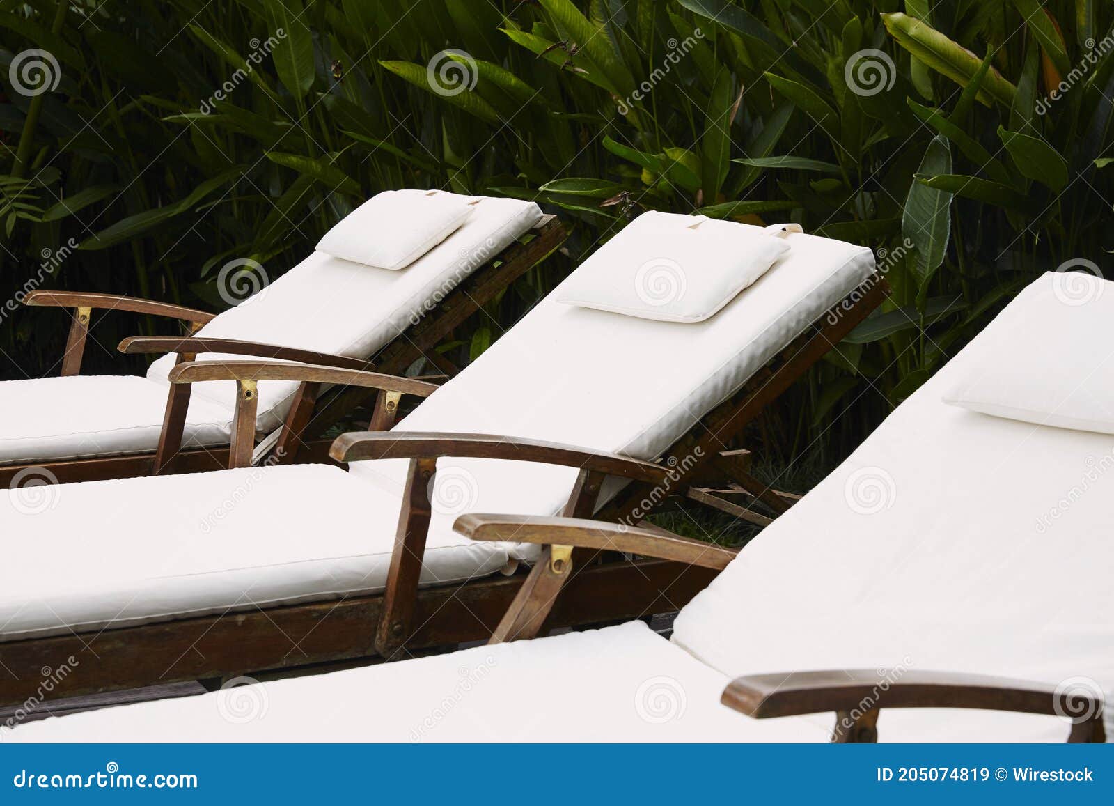 Closeup Shot of White Luxury Beach Chairs Stock Image - Image of ...