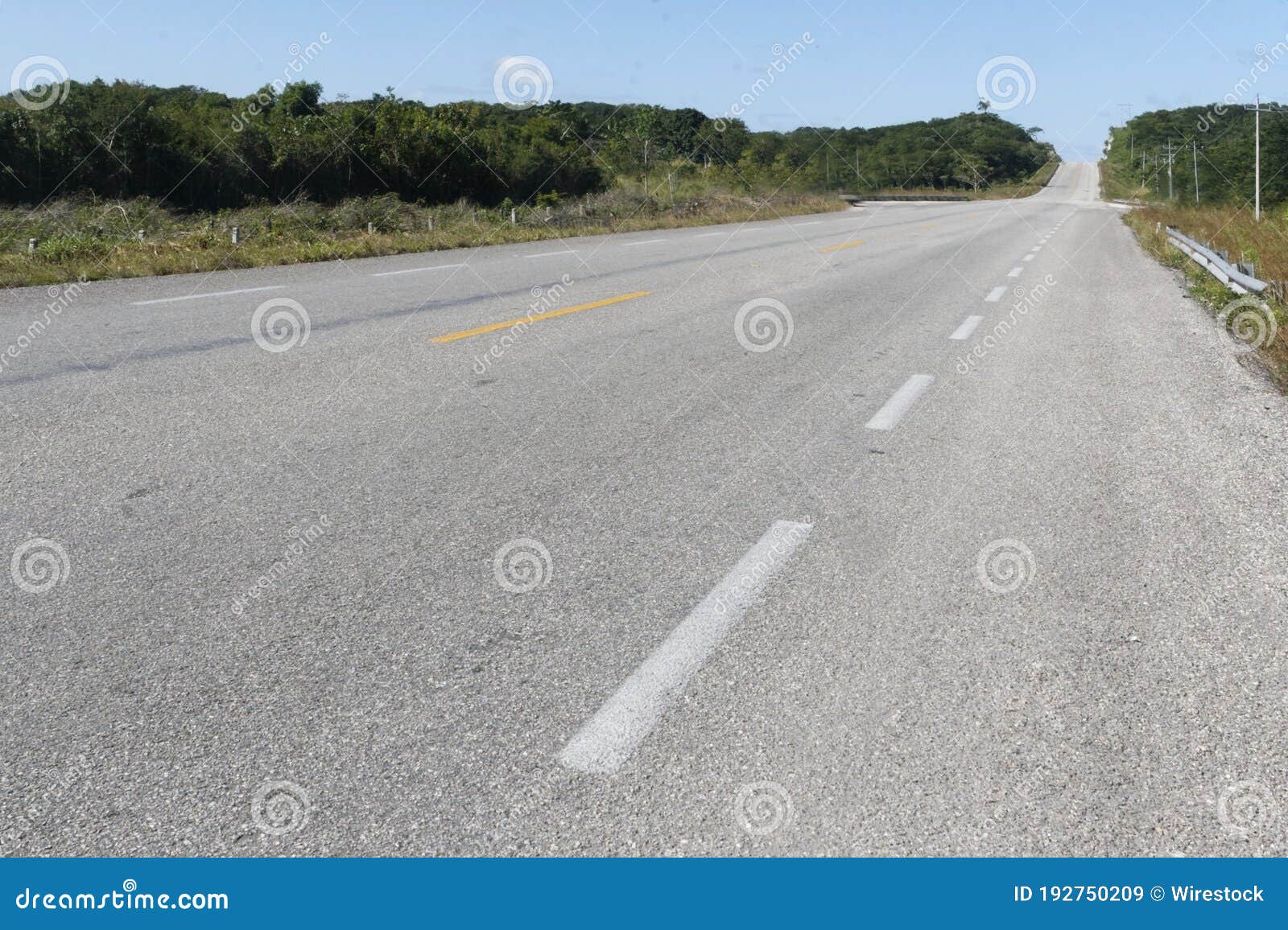Closeup Shot of a Wide Empty Road Surrounded by Trees Stock Image ...