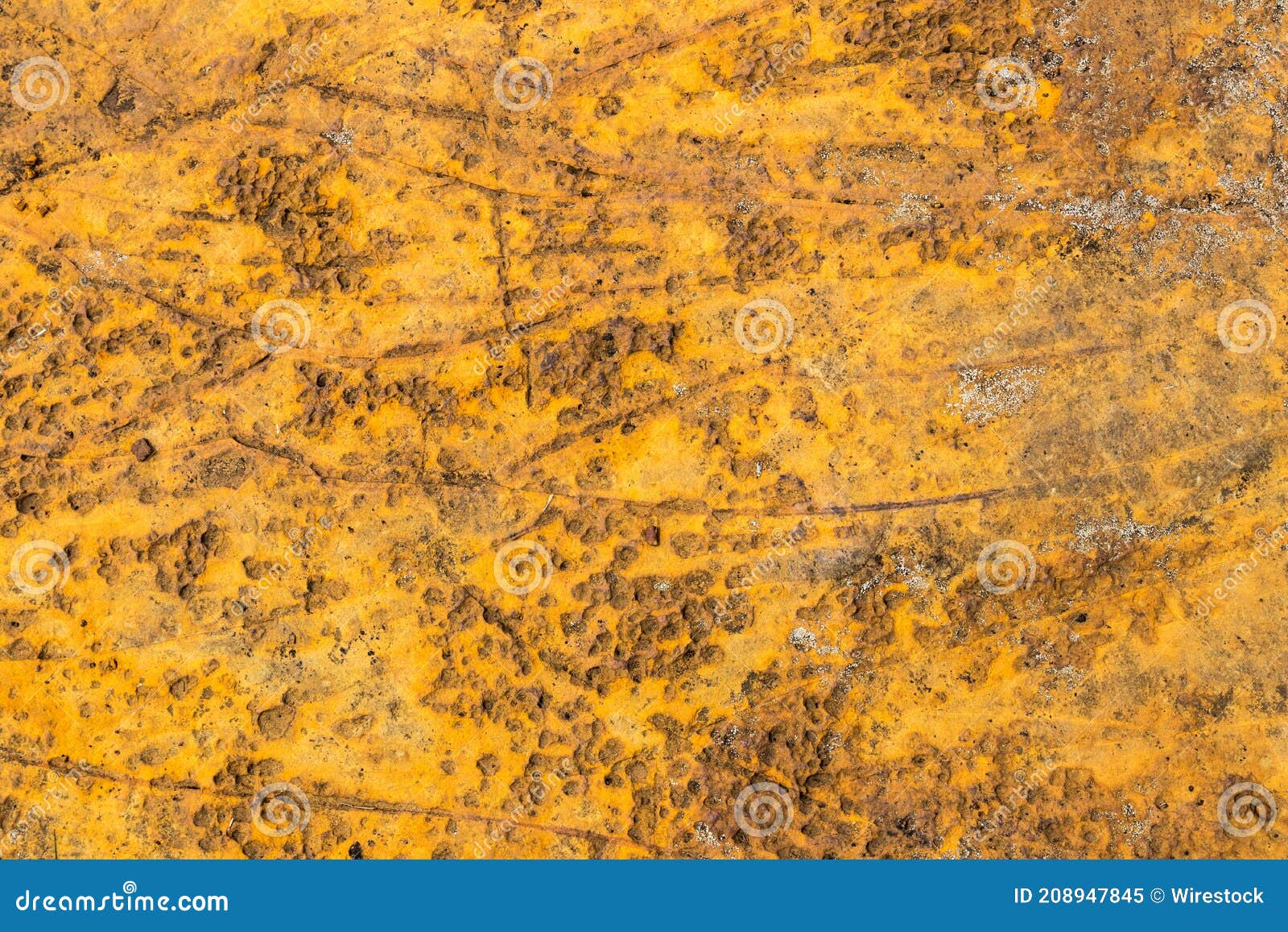 Closeup Shot of Yellow Rock Texture Stock Image - Image of abstract ...