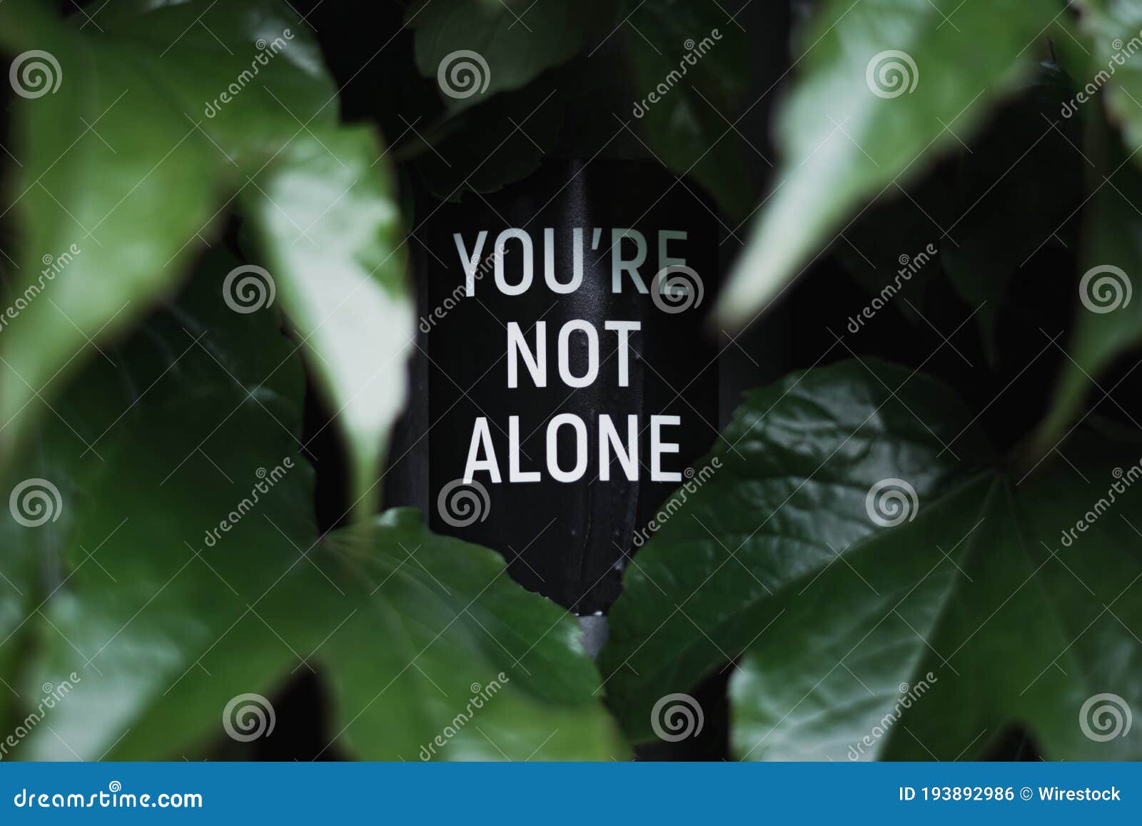 Closeup Shot of a You`re Not Alone Text on a Post Surrounded by Leaves ...