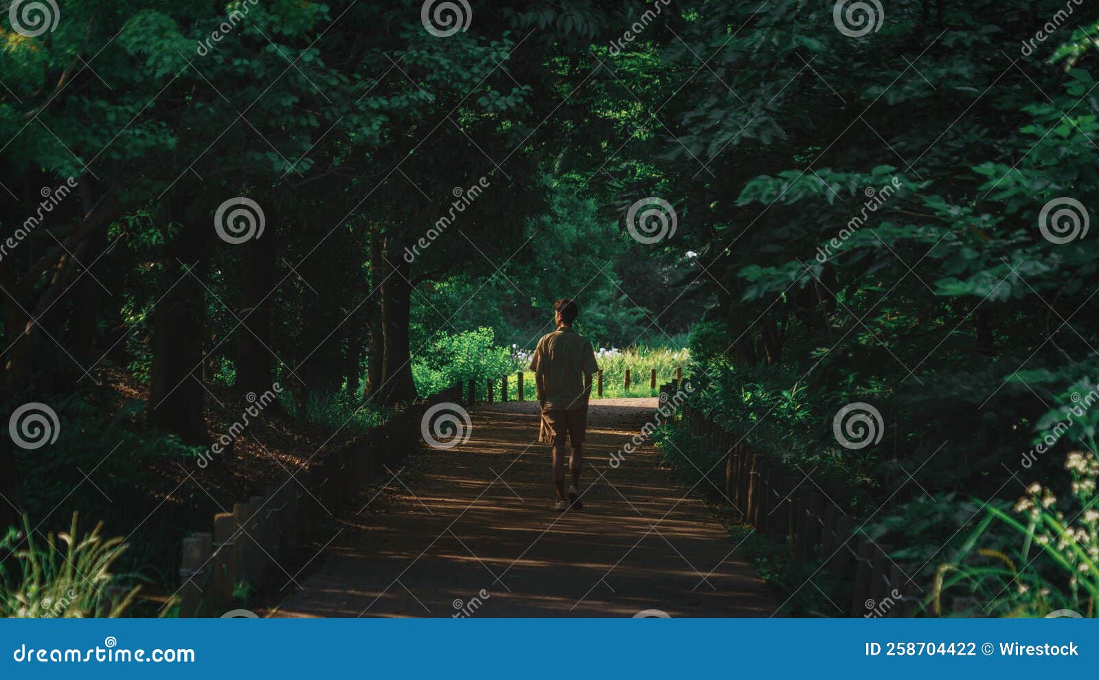 Closeup Shot of a Young Man Walking in the Forest Stock Photo - Image ...