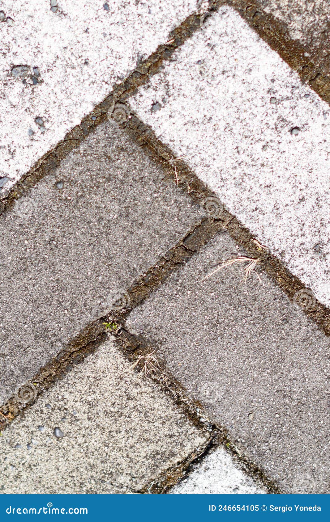 Closeup of Sidewalk Paved with Rectangular White and Gray Tiles in Top ...