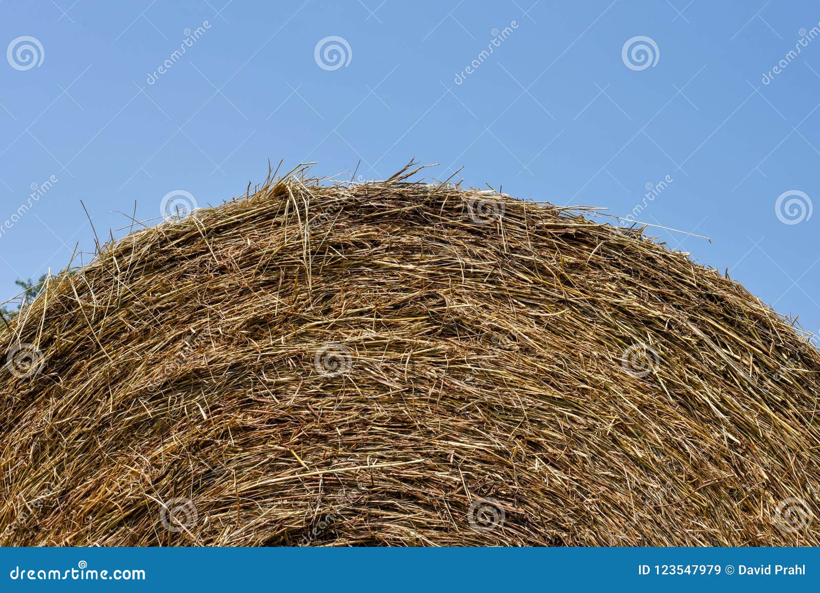 Closeup of a Single Hay Bale Stock Image - Image of angle, grain: 123547979