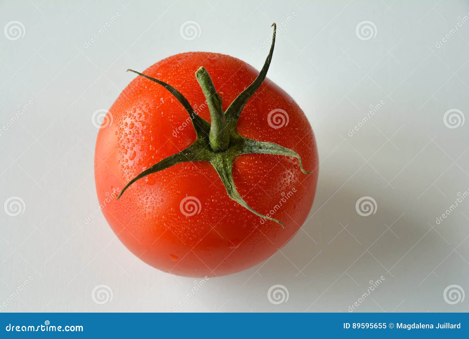 Closeup of a single tomato stock image. Image of agriculture - 89595655