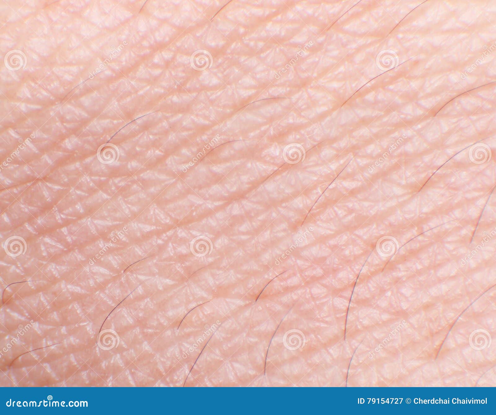 Closeup Skin Back of Hand stock image. Image of back - 79154727