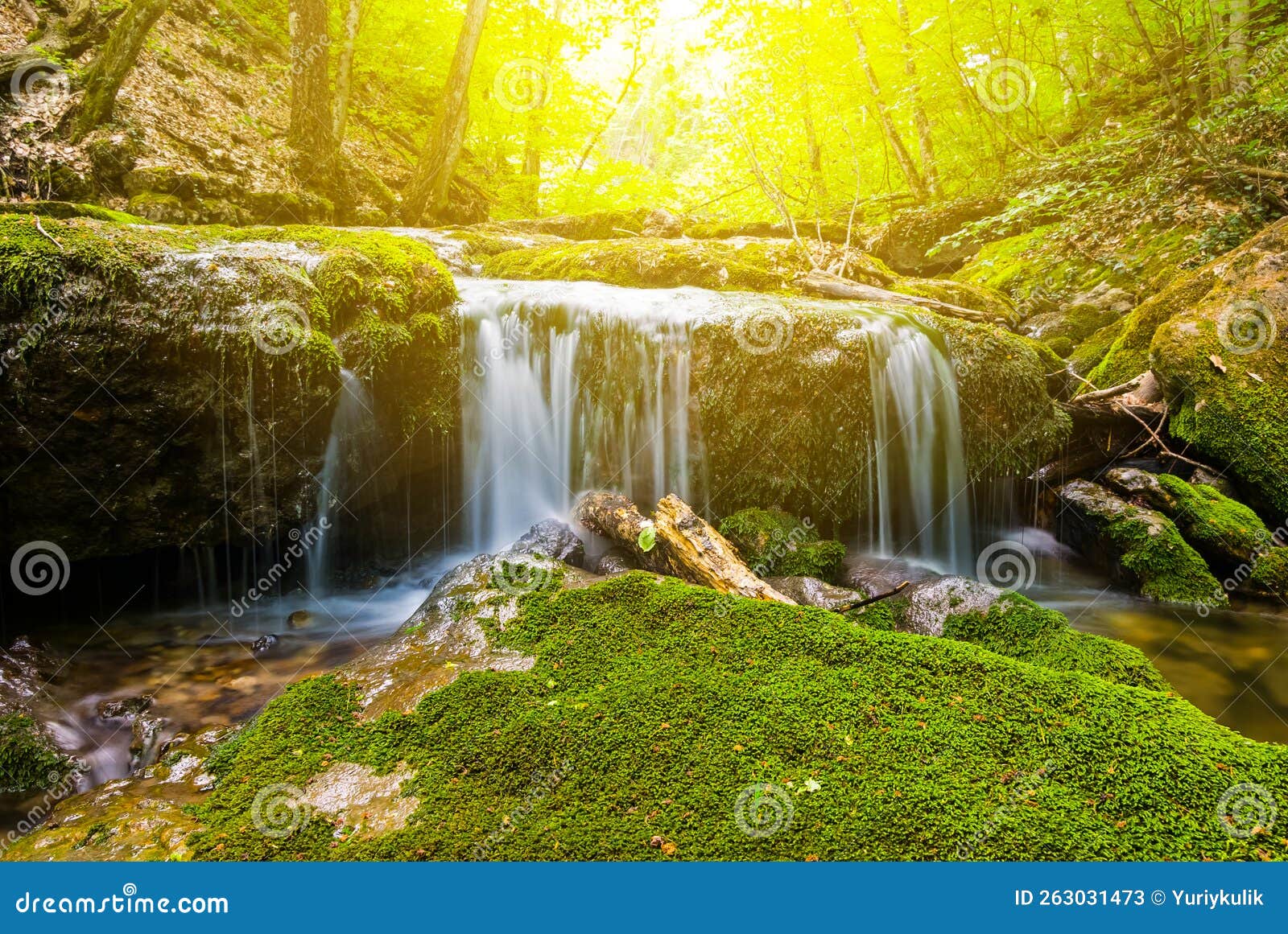 Small Brook Flow in Mountain Canyon Stock Image - Image of splash ...